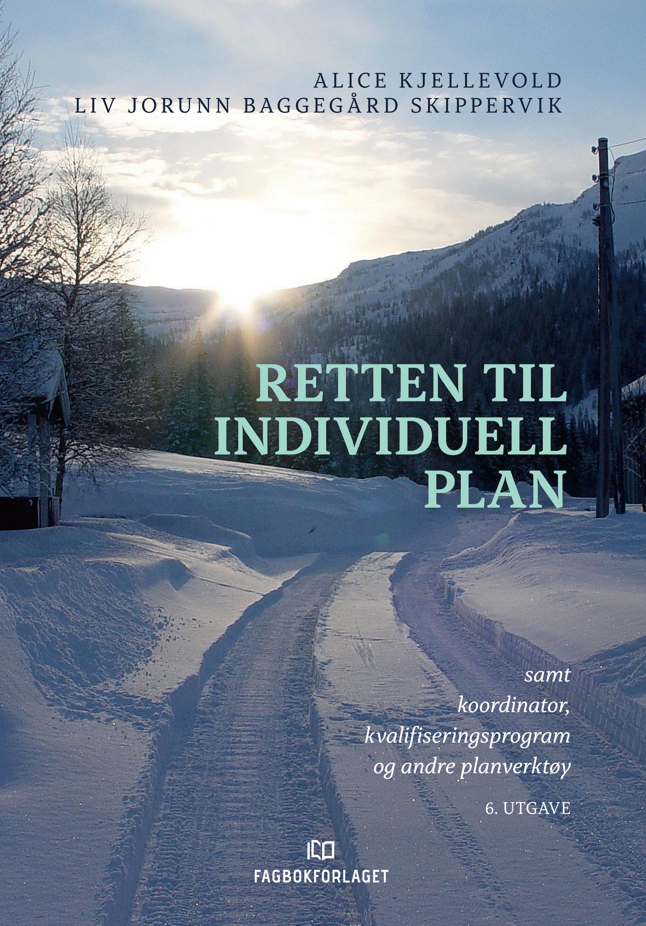 Retten til individuell plan, 6. utgave (9788245049206) by ...