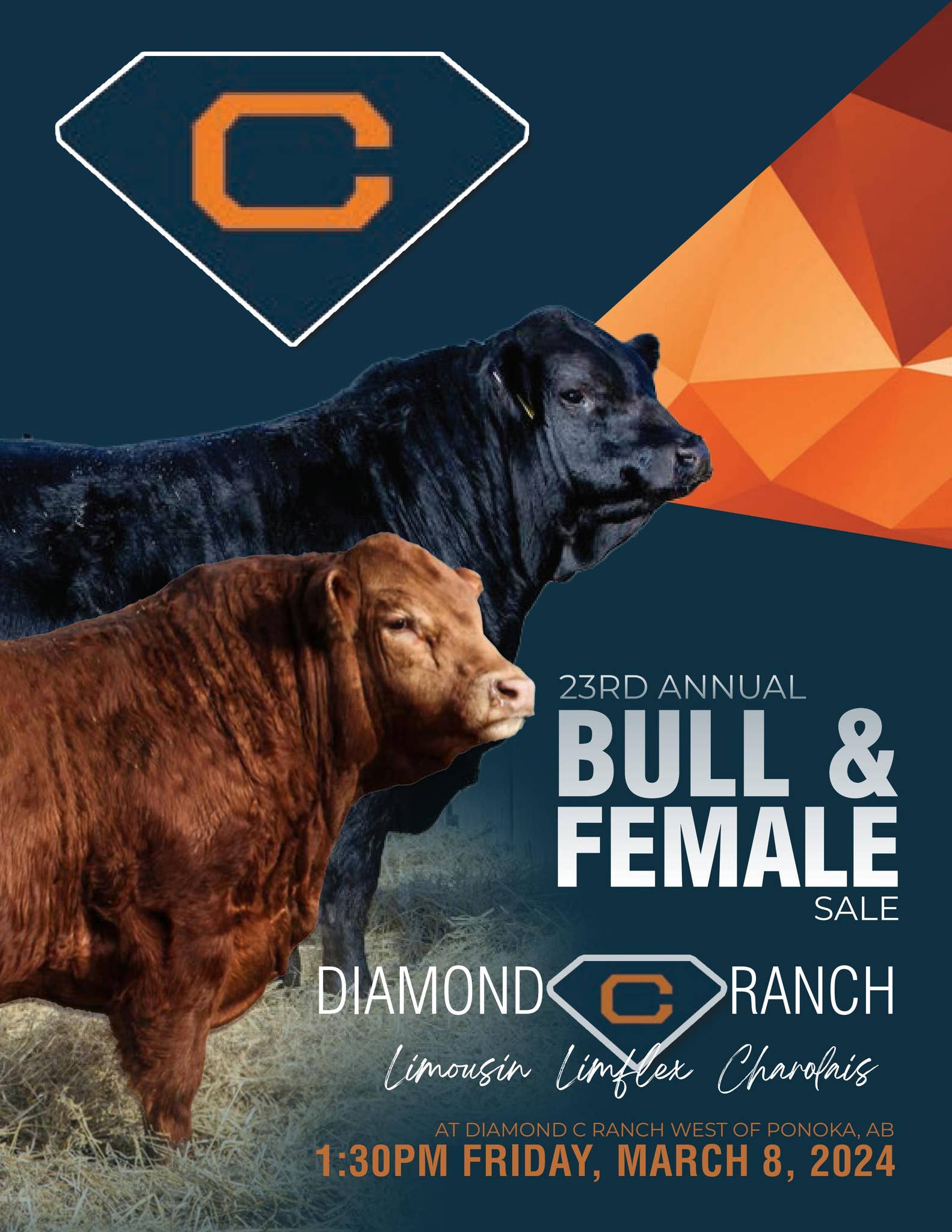 Diamond C Ranch 23rd Annual Bull Sale by Today's Publishing Inc. - Issuu