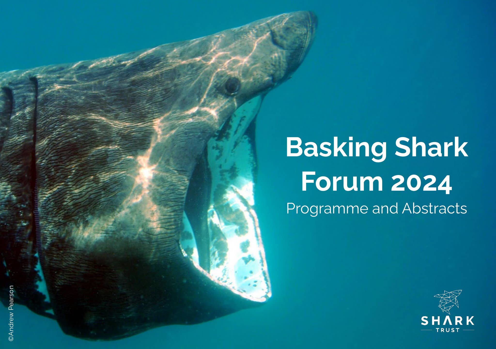 Basking Shark Forum 2024 - Programme & Abstracts by The Shark Trust - Issuu