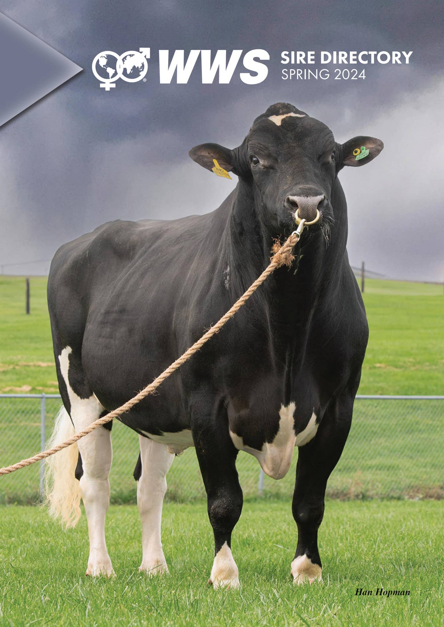 WWS Ireland Sire Directory Spring 2024 by WWS Ireland - Issuu