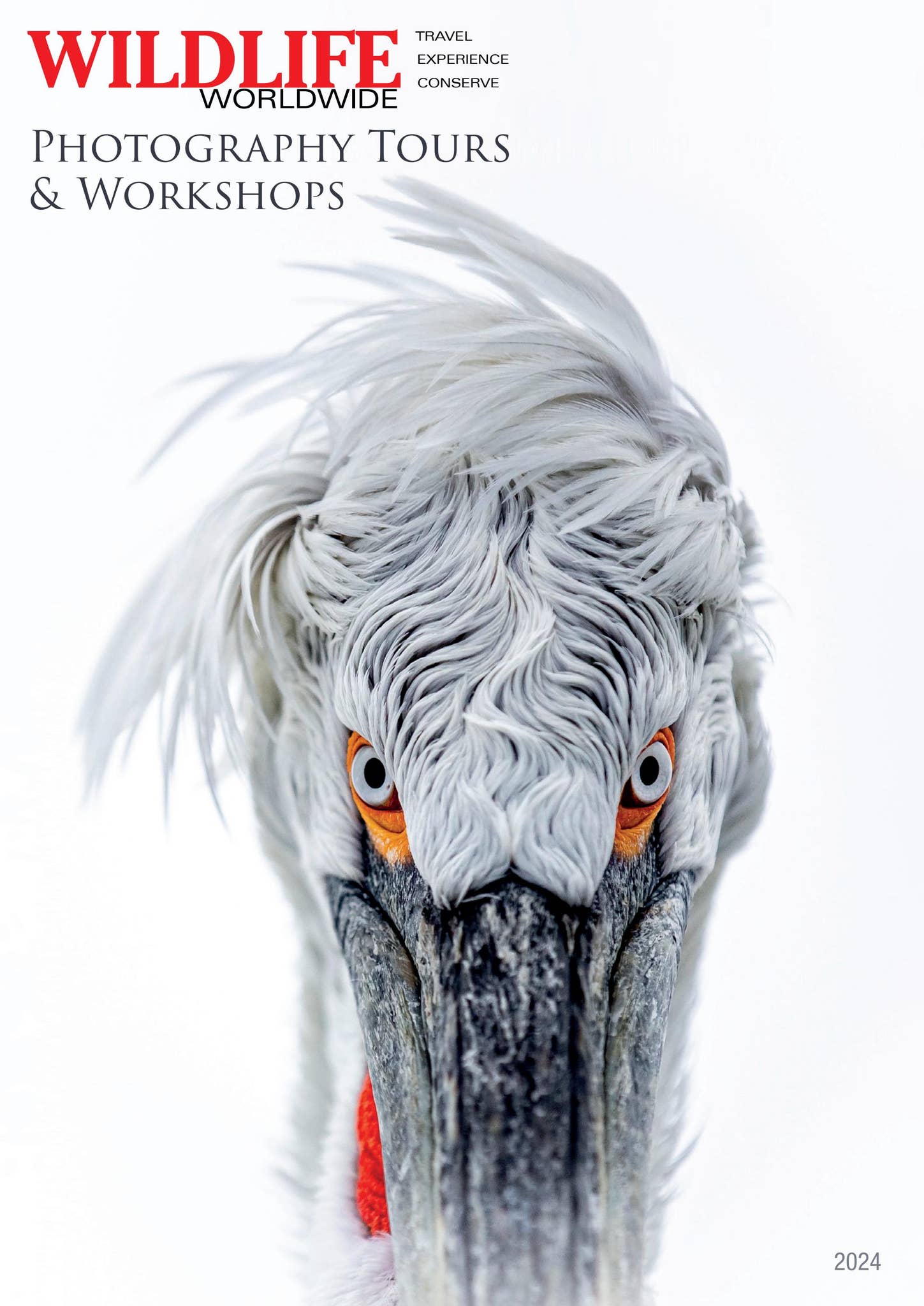 Wildlife Worldwide Photography Tours & Workshops Brochure 2024 by The ...