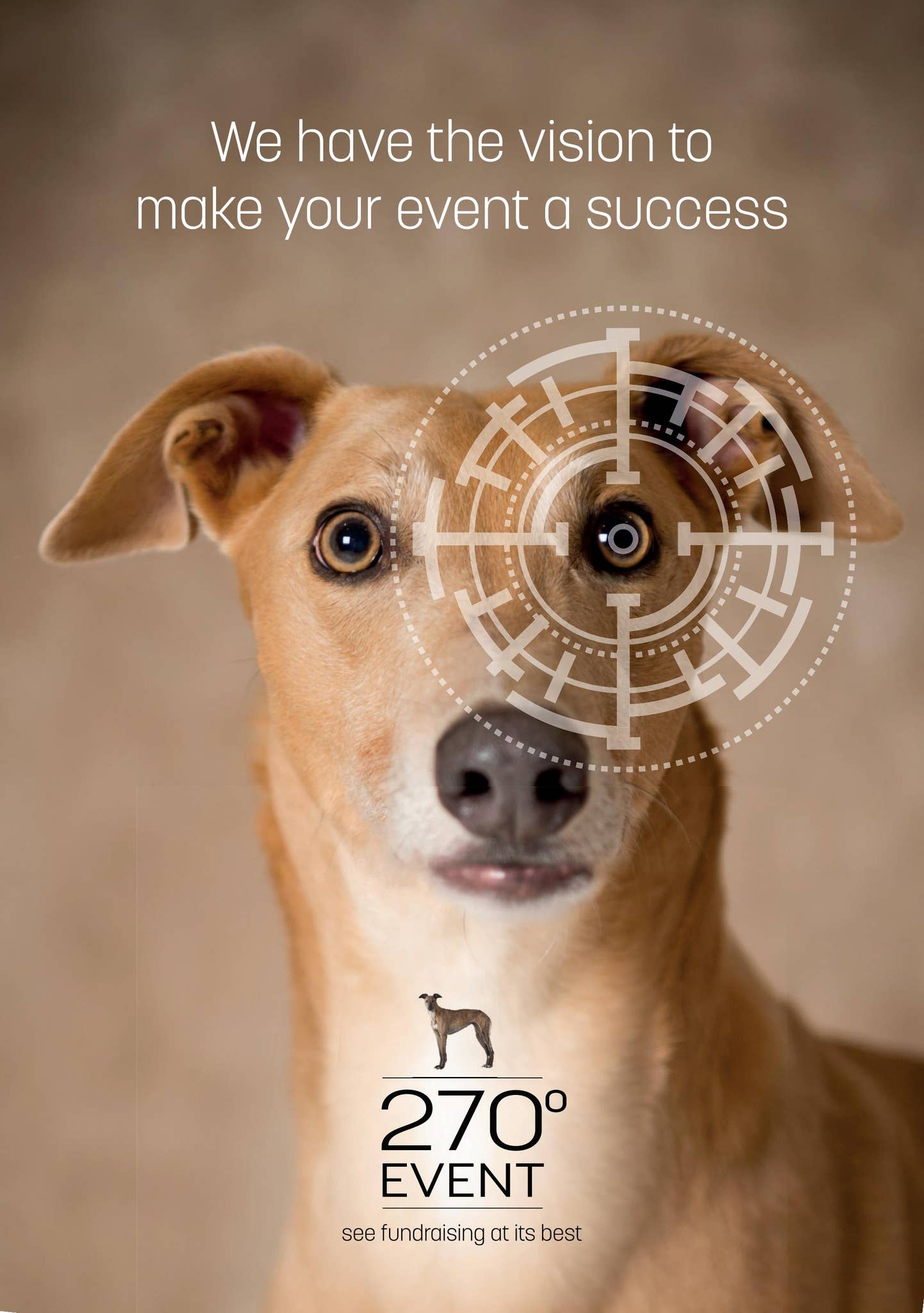 270 Fundraising Brochure Curraheen Park, Shelbourne Park, Limerick and ...