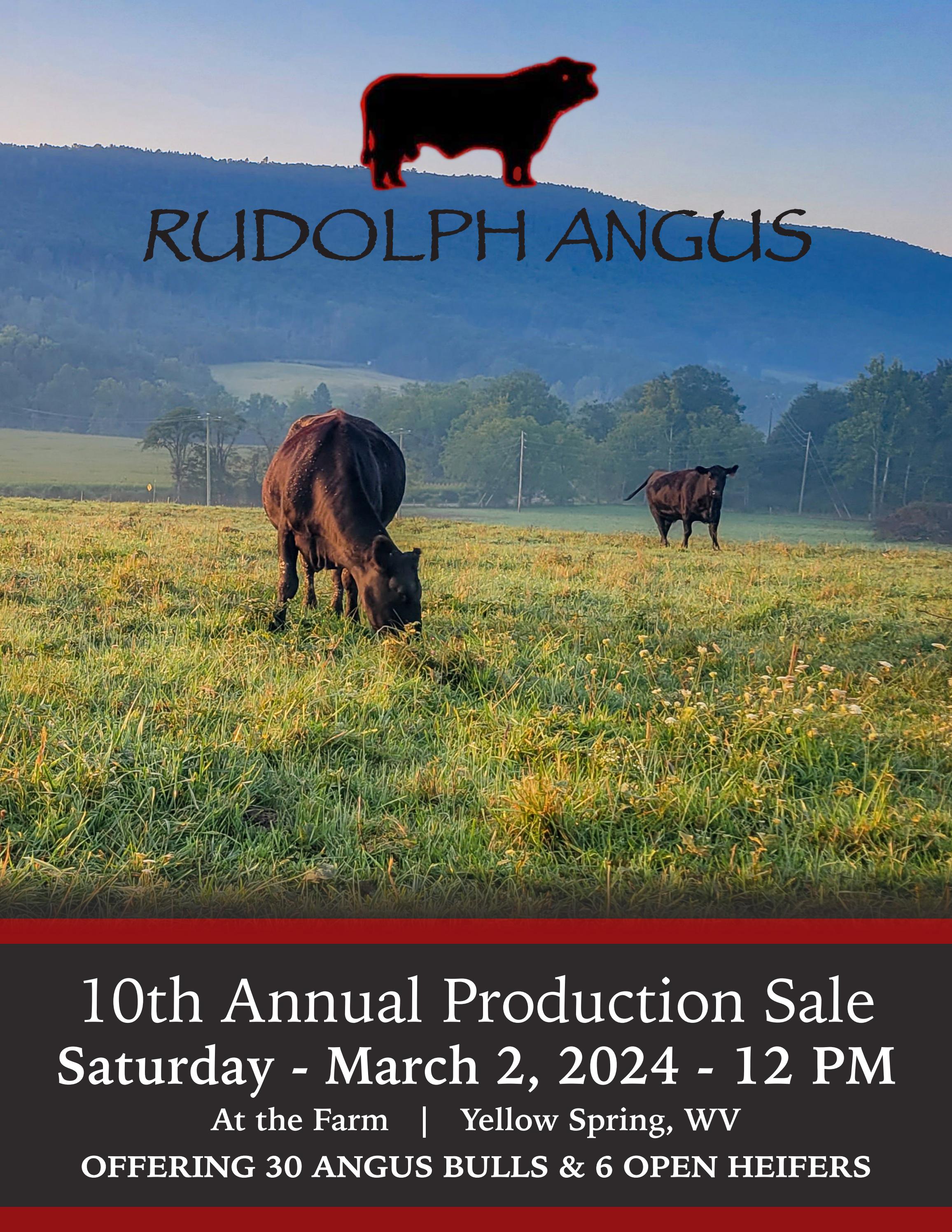 Rudolph Angus 2024 Sale Catalog by Jeremy Rudolph - Issuu