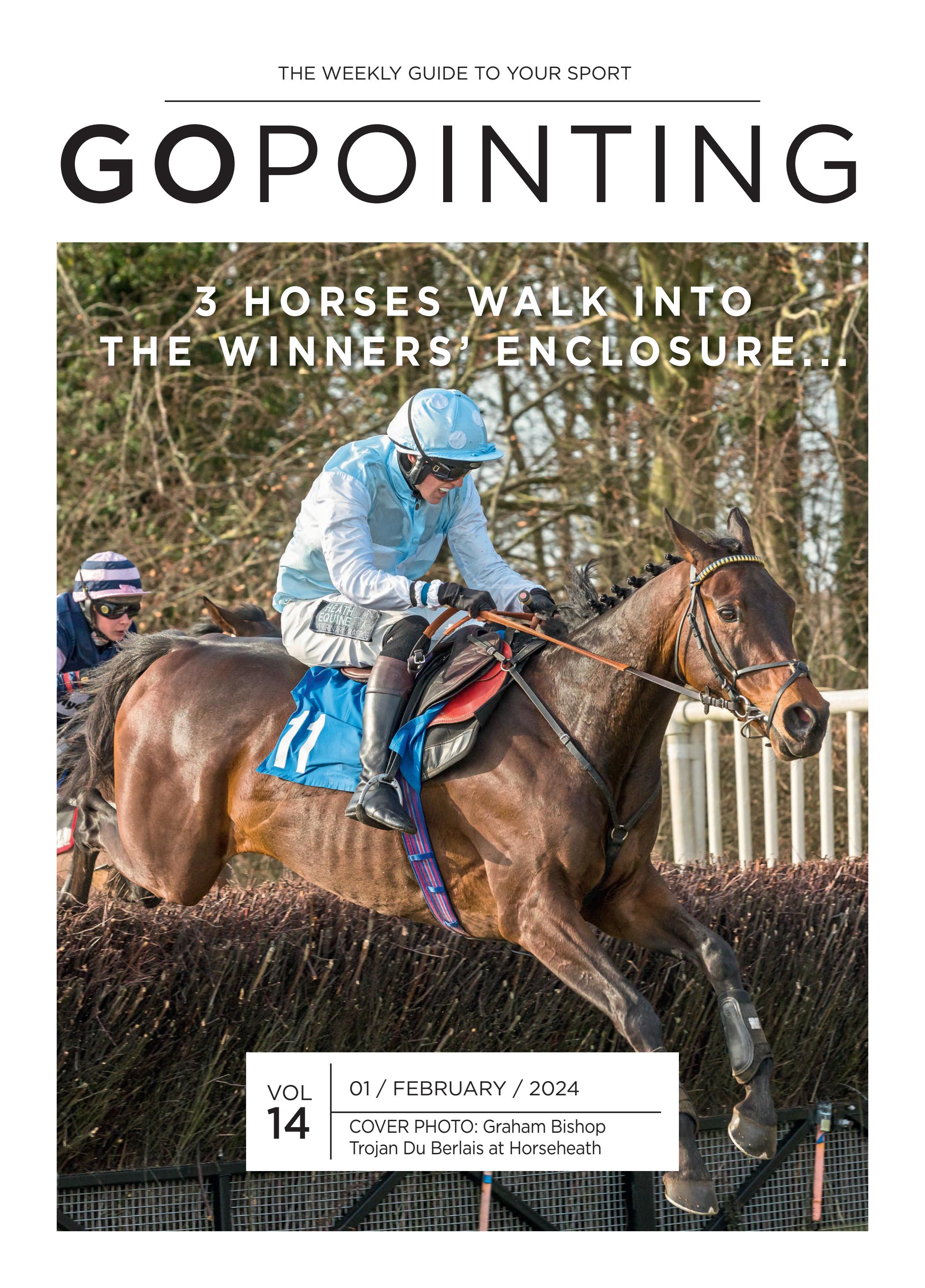 Go Pointing - Vol 14 by GOPOINTING - Issuu