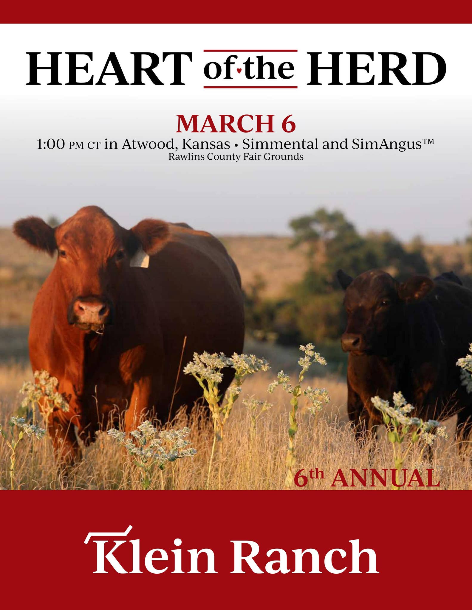 2024 Klein Ranch Heart of the Herd Sale by Julie Murnin - Issuu