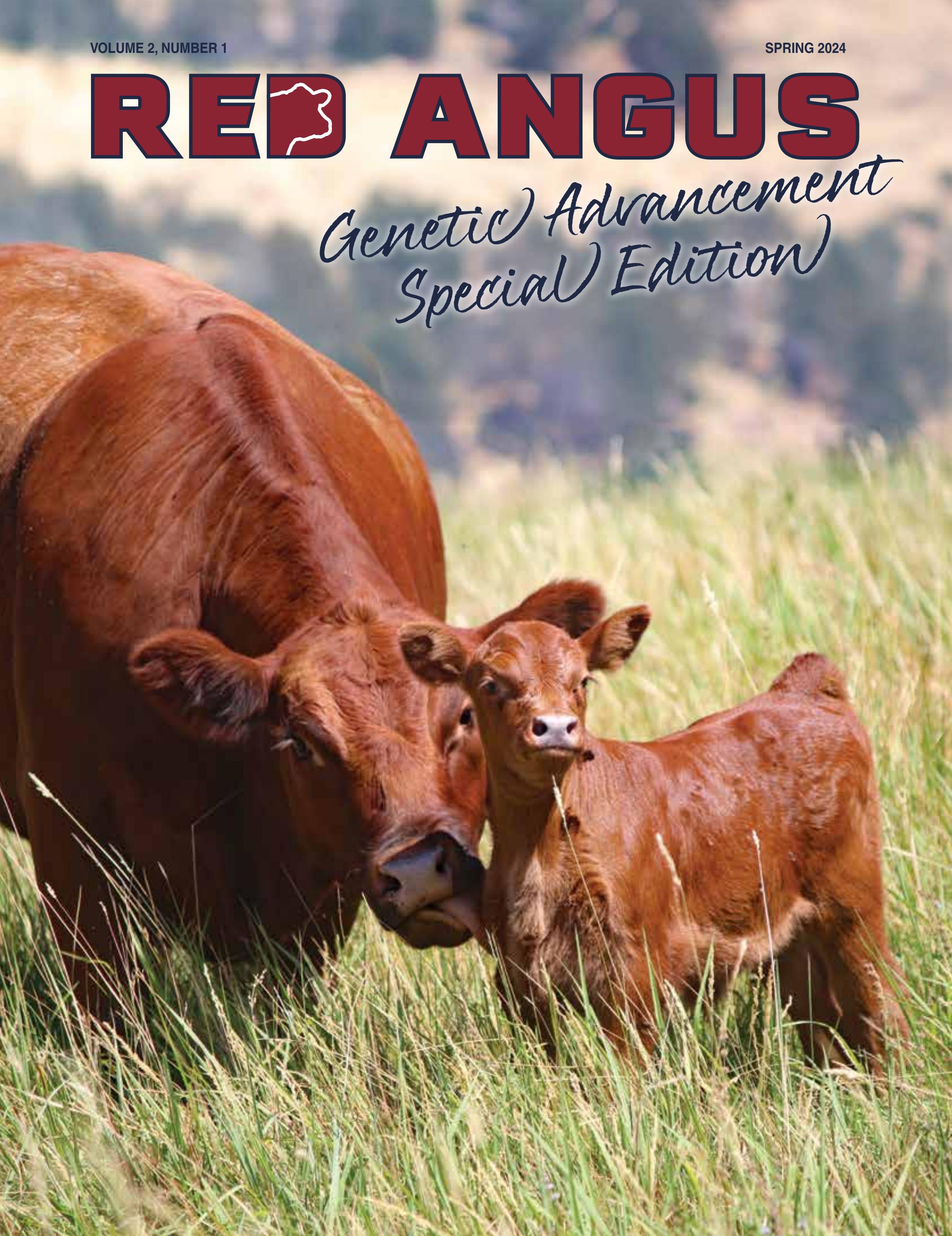 Red Angus Genetic Advancement by Red Angus Association of America - Issuu
