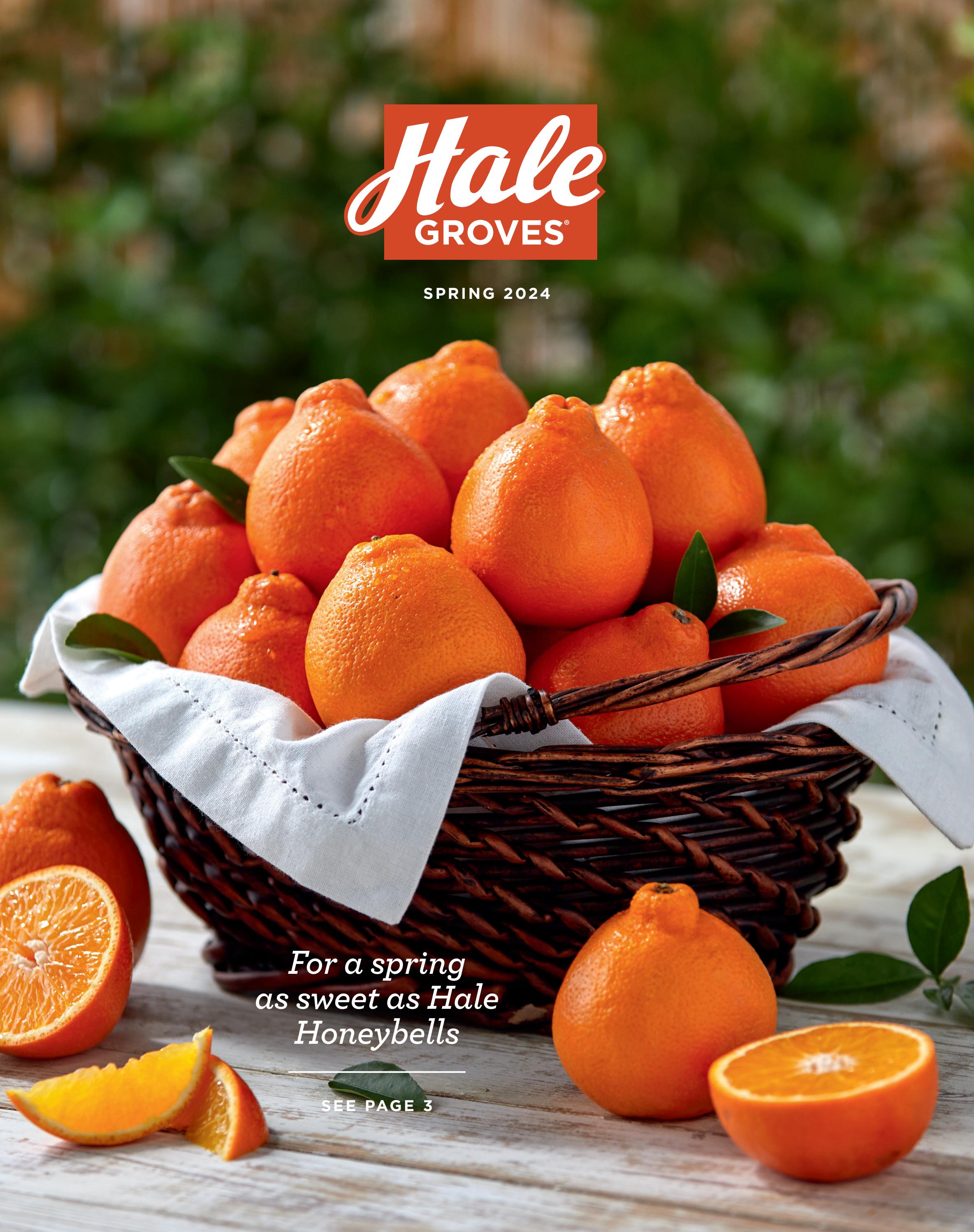 Hale Groves Catalog Spring 2024 by Indrio Brands - Issuu