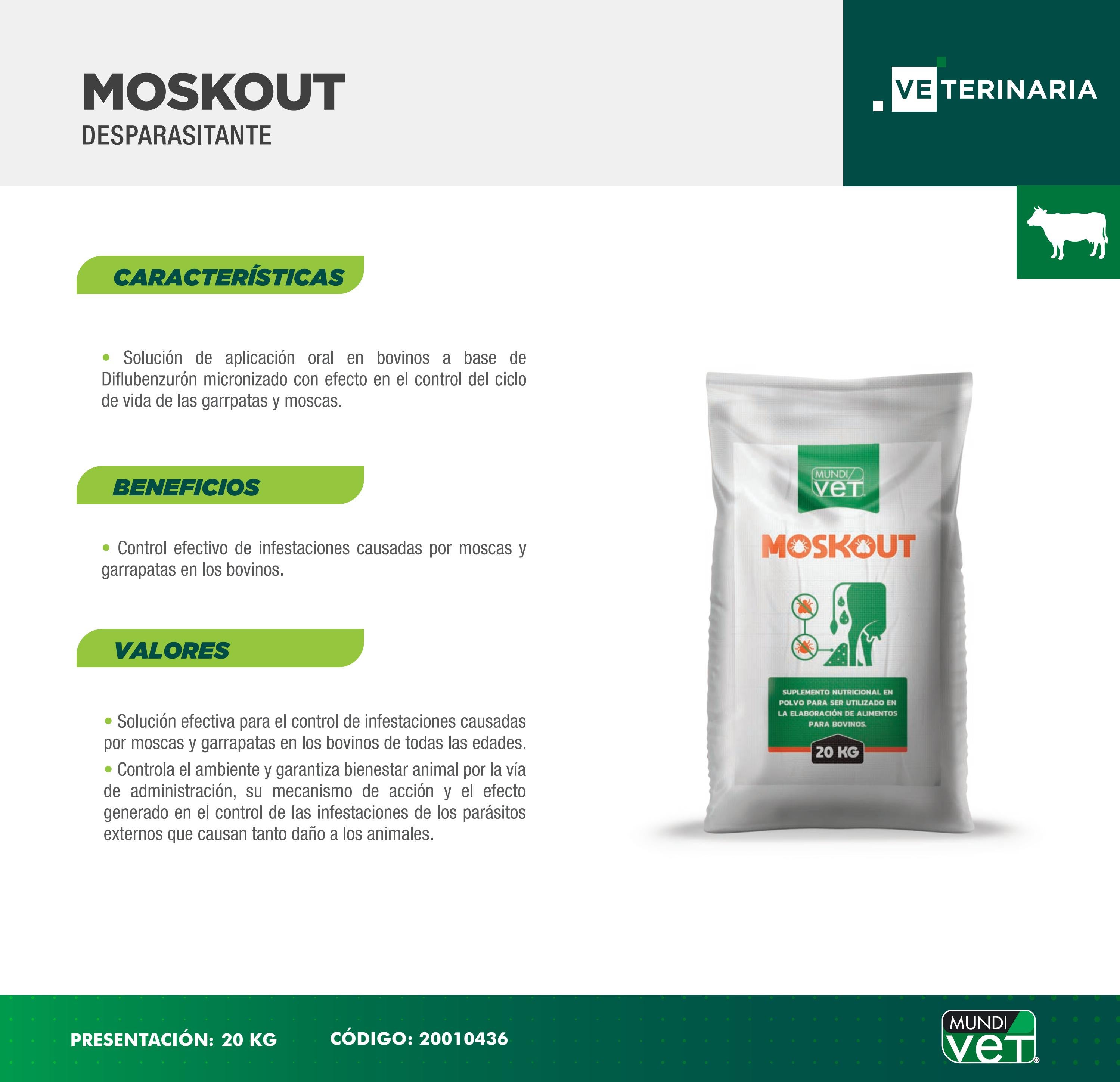 Moskout by Almacenes AV - Issuu