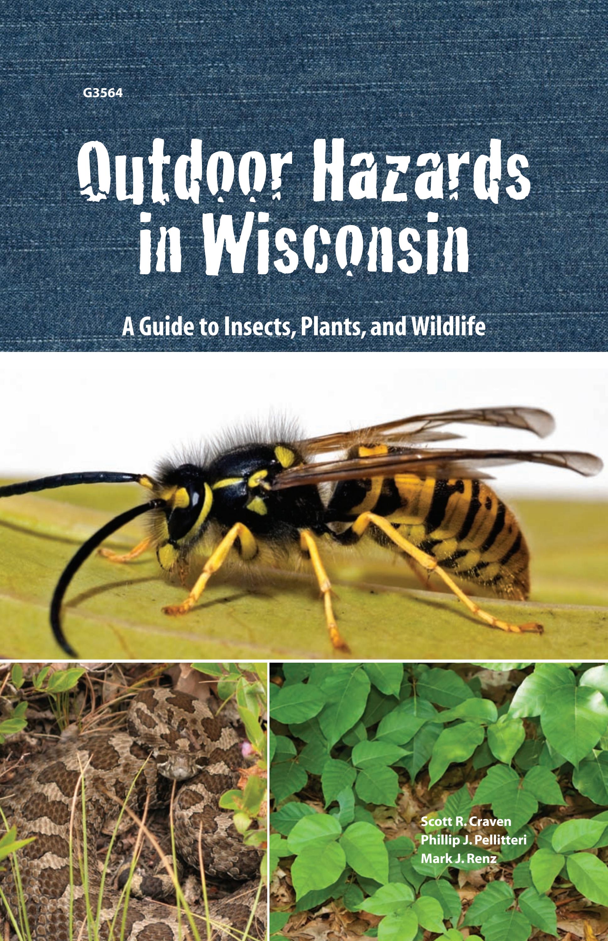 Outdoor Hazards in WI | UW Extension by Girl Scouts of the Northwestern ...