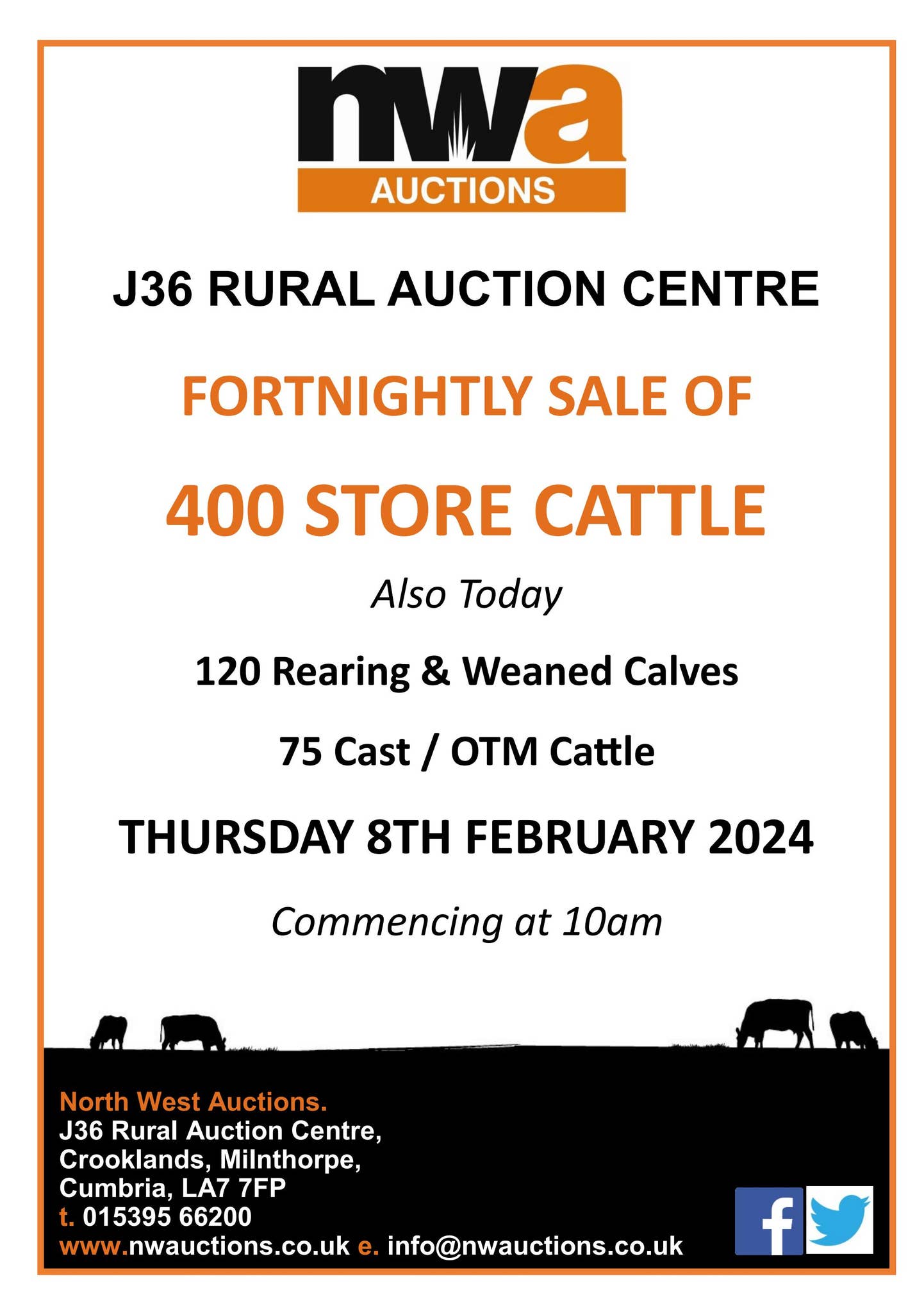 J36 Store Cattle Catalogue by North West Auctions - Issuu