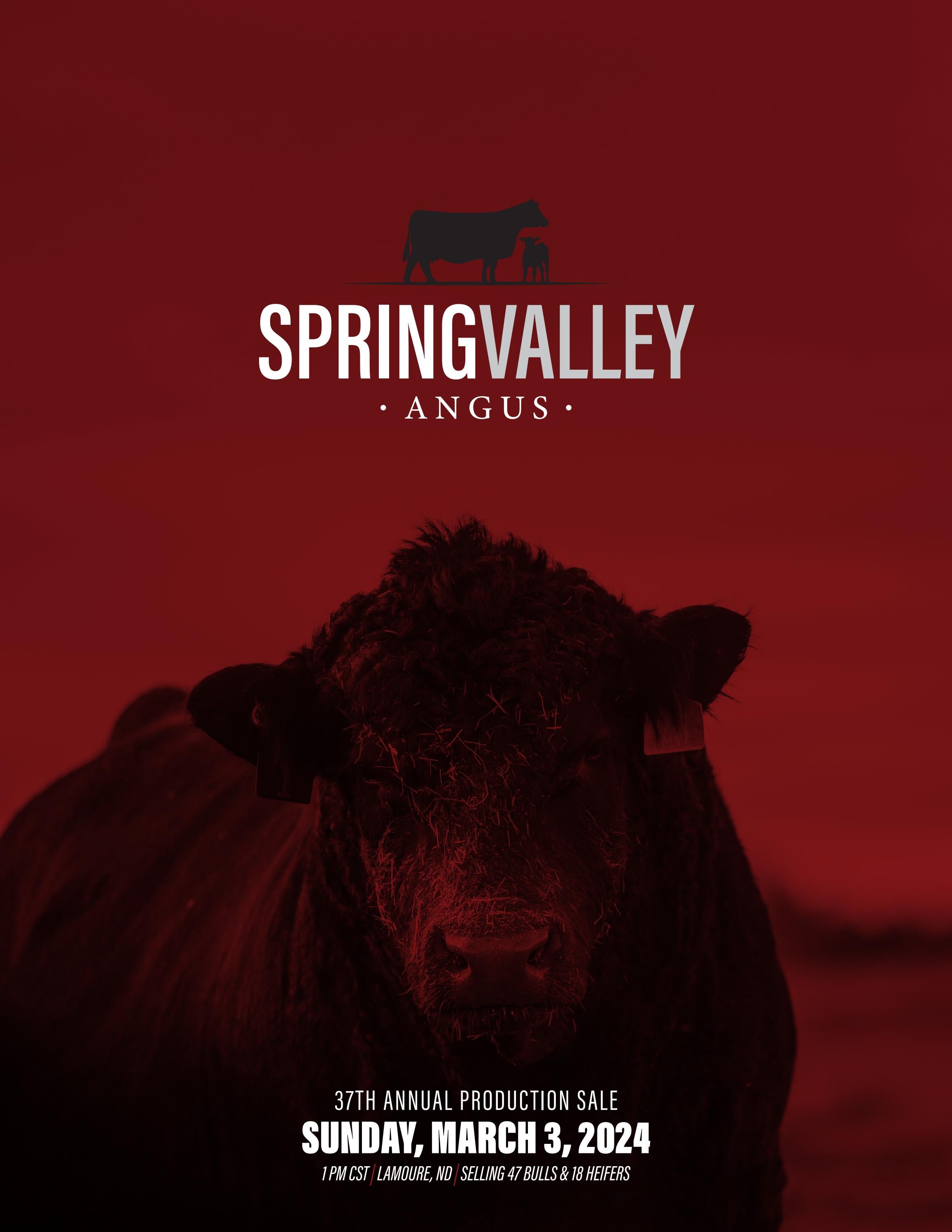 Spring Valley Angus 37th Annual Production Sale by Addison K Creative ...