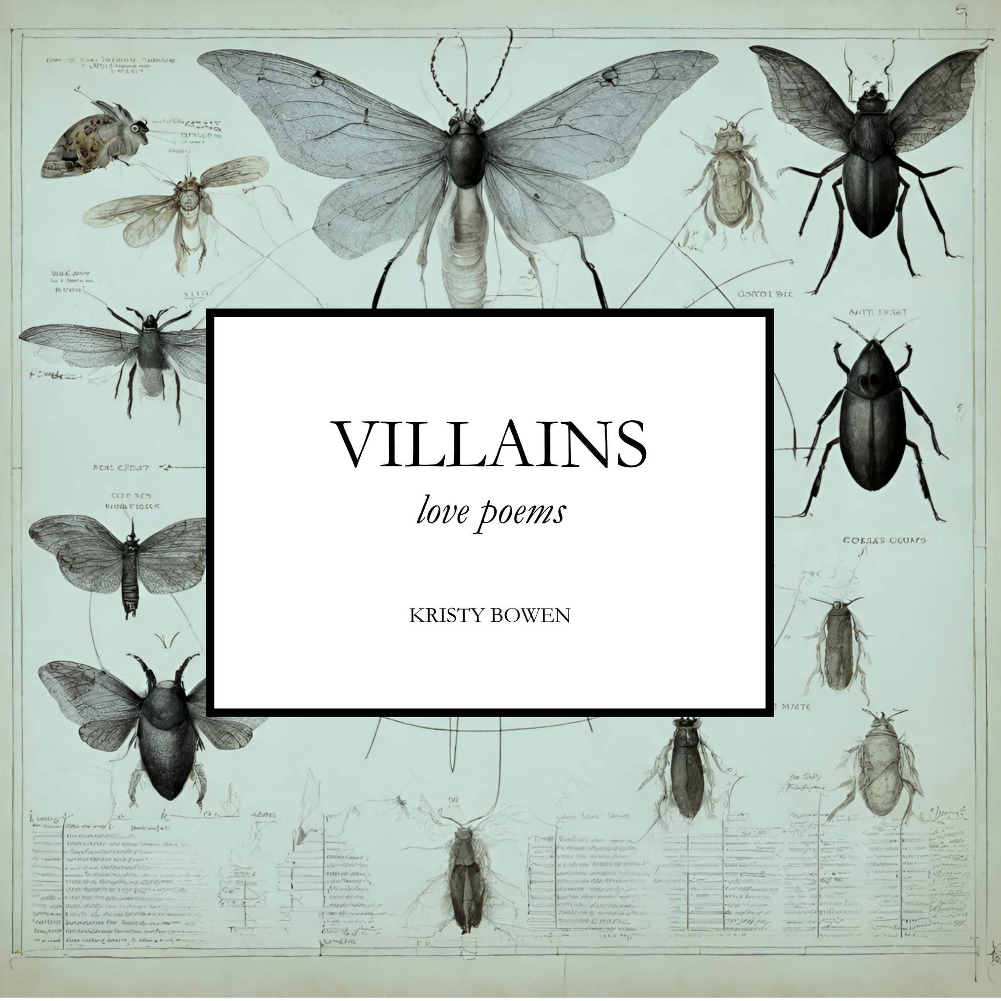 VILLAINS: love poems | Kristy Bowen by dancing girl press & studio - Issuu