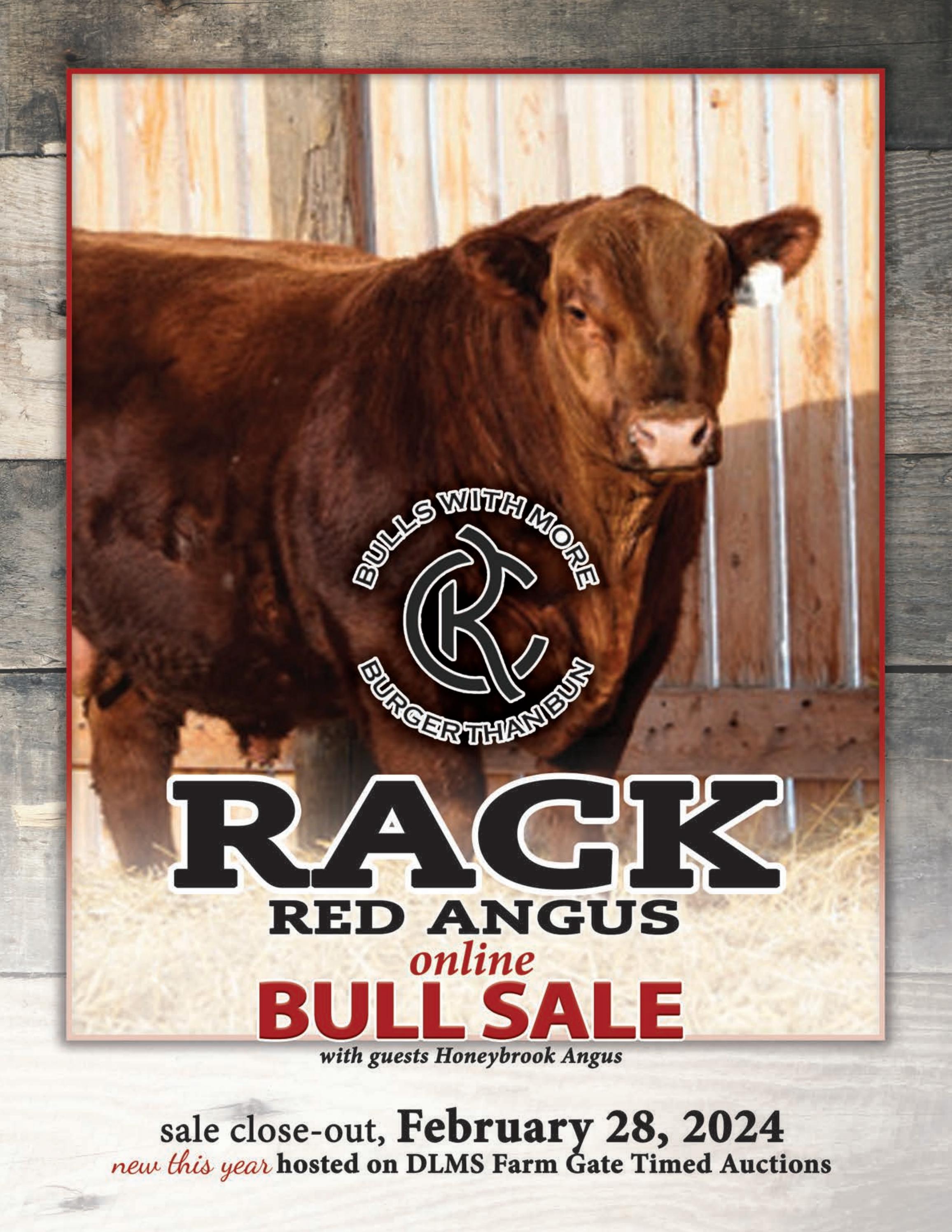 Rack Red Angus Bull Sale 2024 - DLMS Farm Gate Timed Auctions by DLMS ...