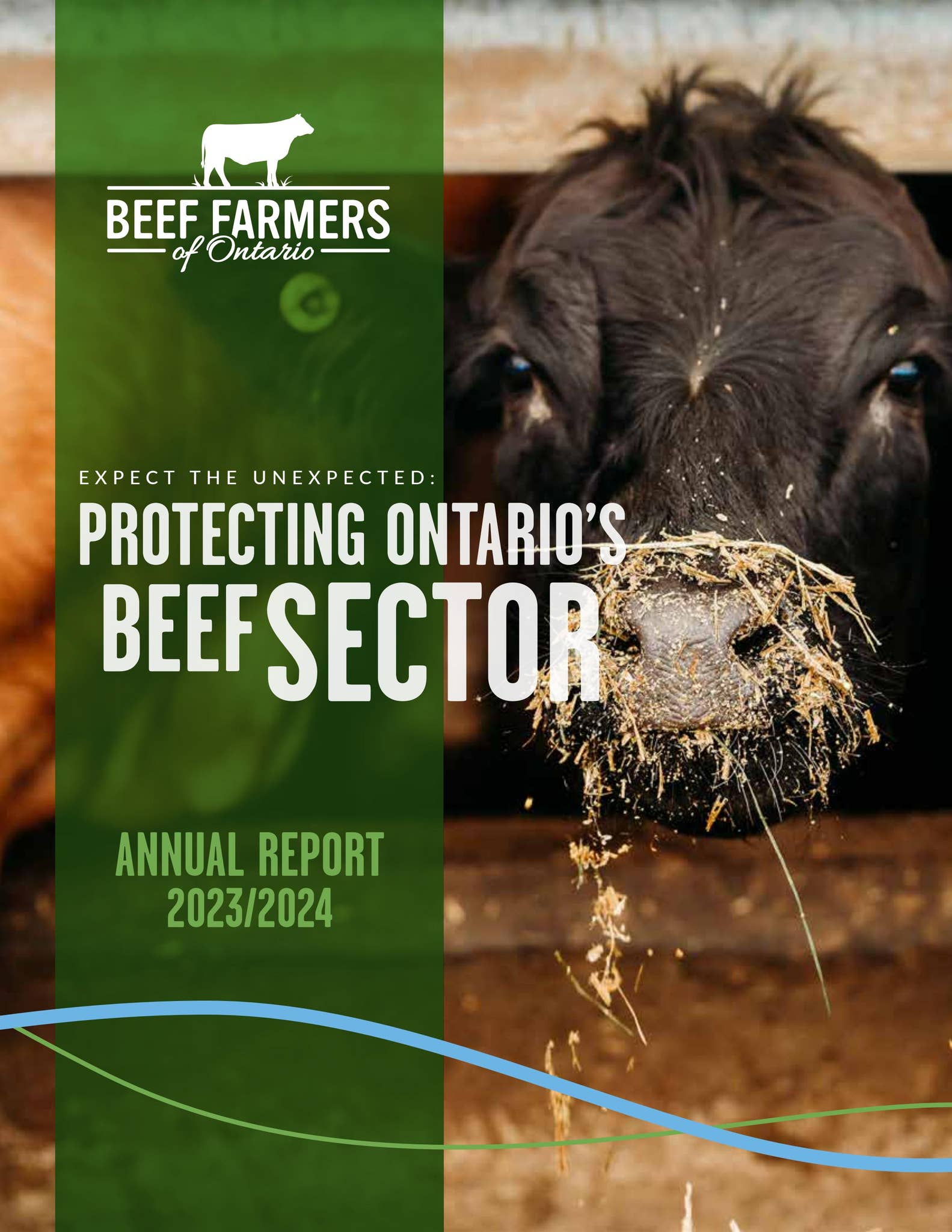 2024 Beef Farmers of Ontario Annual Report by Ontario Beef Magazine - Issuu