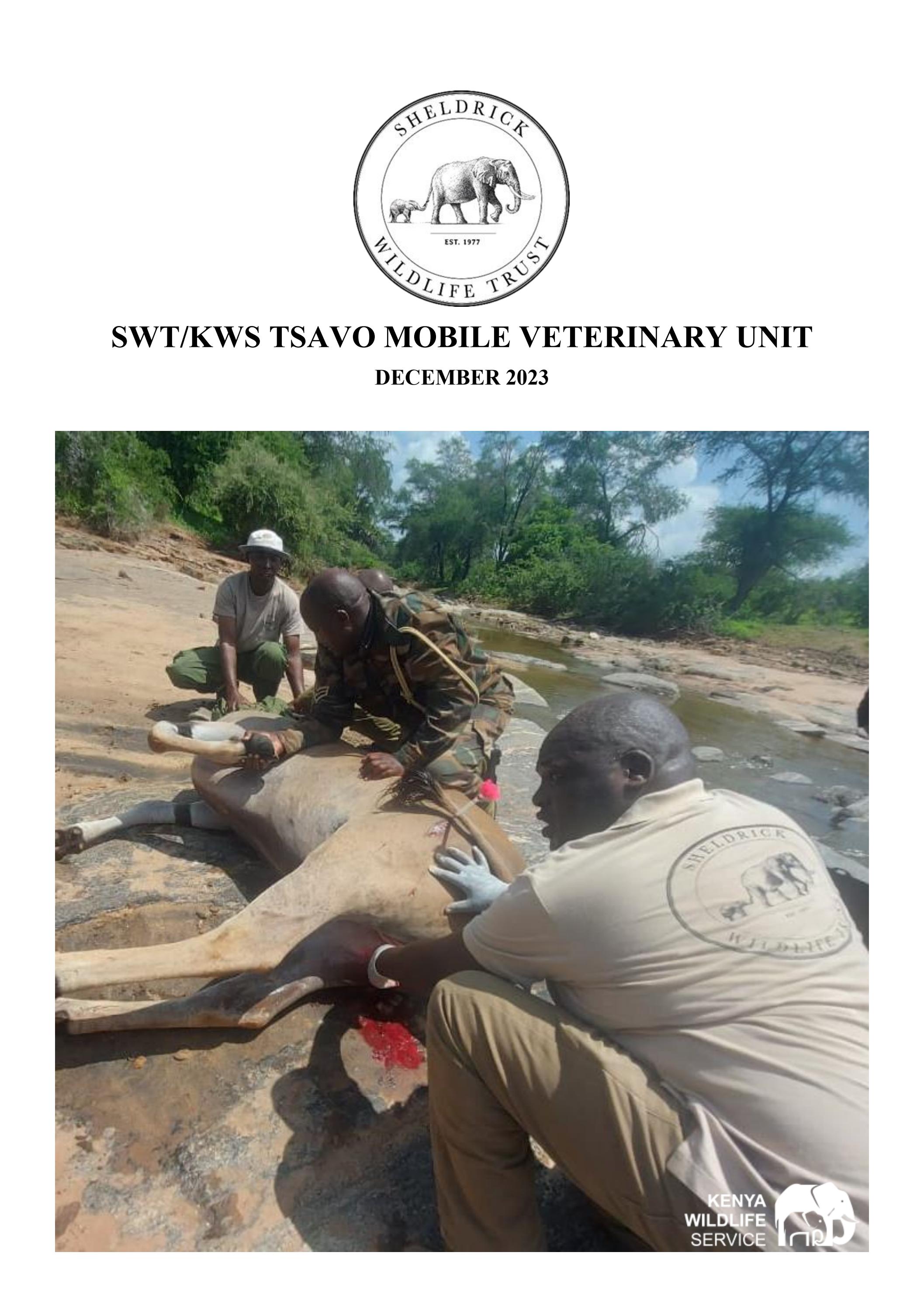 SWT/KWS Tsavo Mobile Veterinary Report for December 2023 by Sheldrick ...