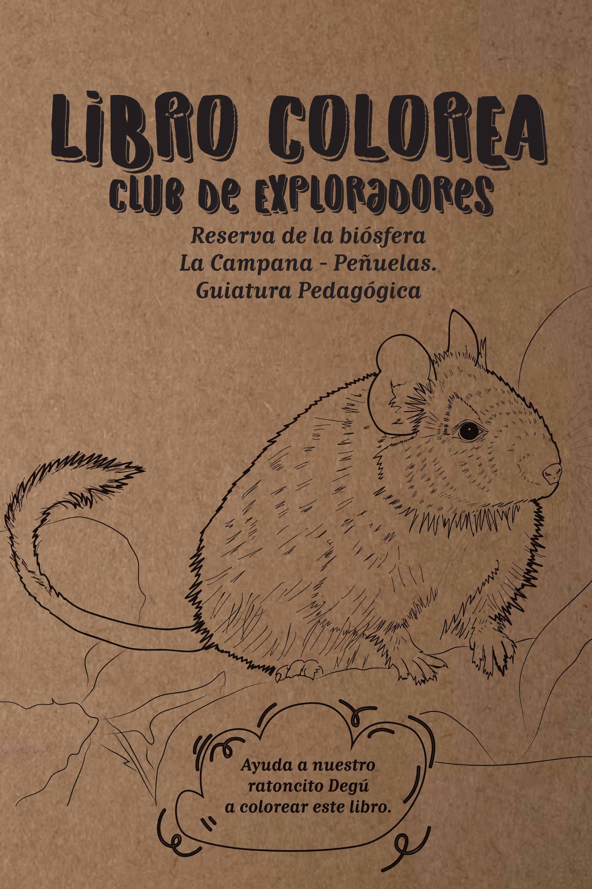 LIBRO COLOREAR REVISION 07-02-2024 by Tallercreativo Lslimpresores - Issuu