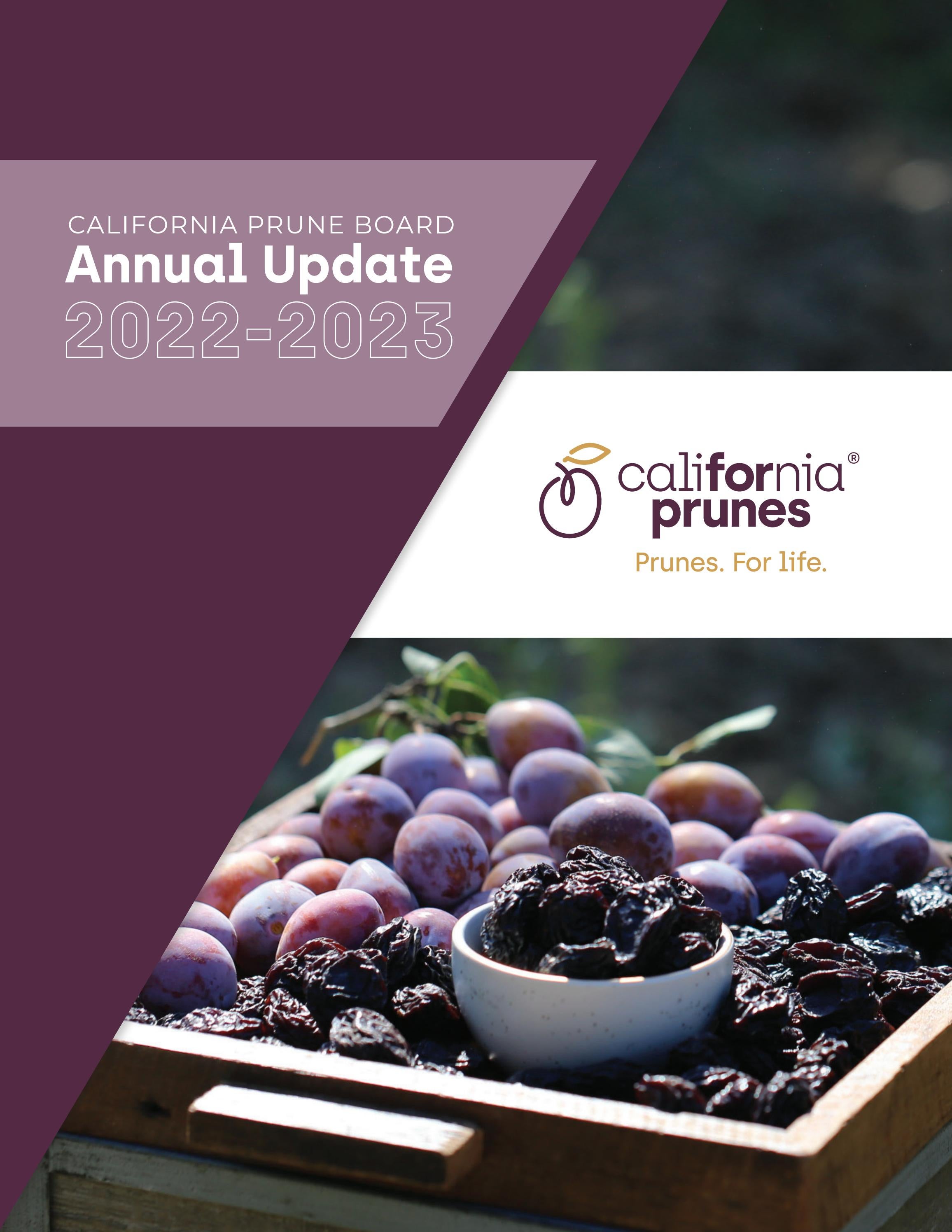 CA Prune Board Annual Update 2022-23 by NSTPR - Issuu