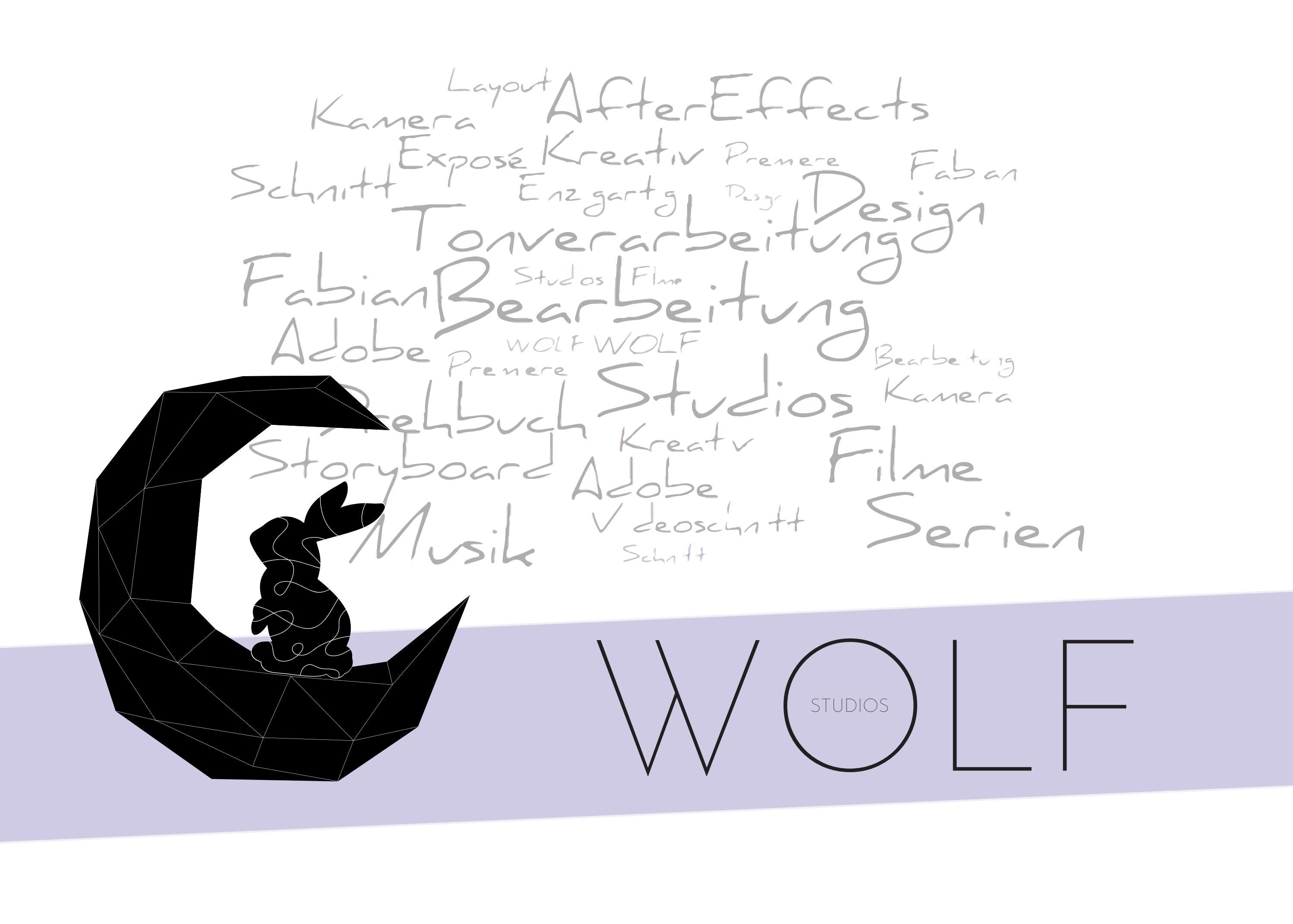 Corporate Design Manual - WOLF Studios by wolf-hlw - Issuu