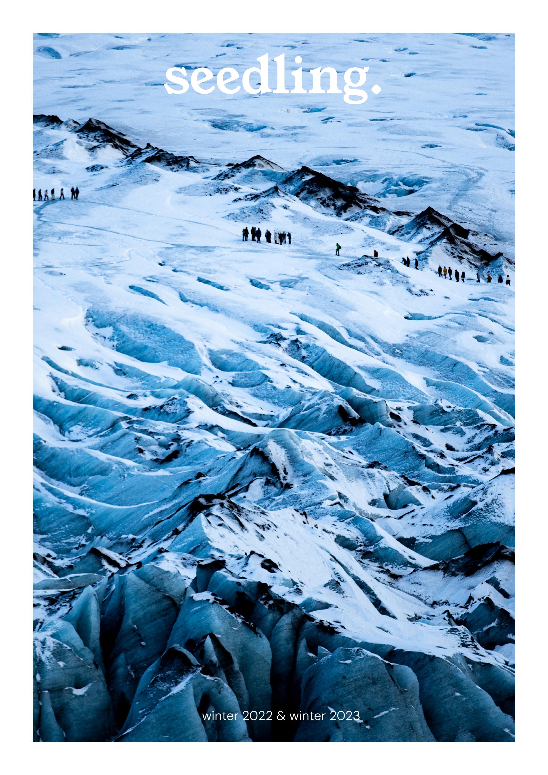 SEEDLING Magazine nº05 by SEEDLING - Issuu