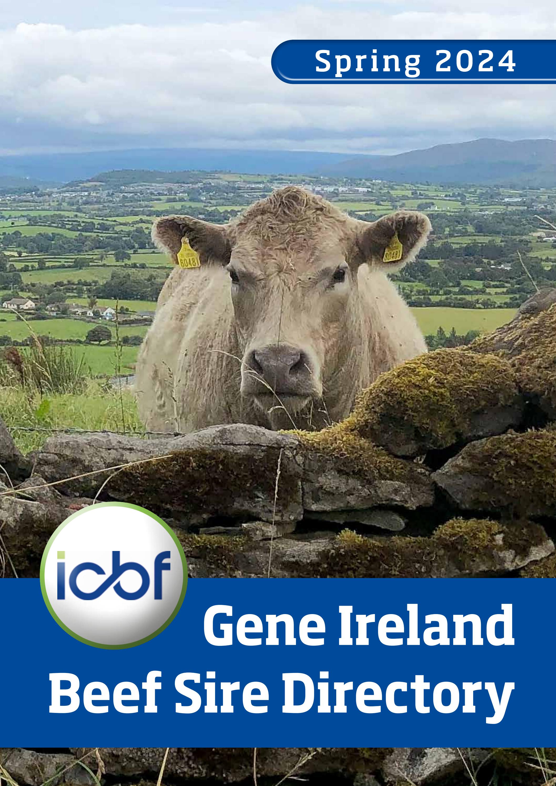 Gene Ireland Beef Sire Directory Spring 2024 by ICBF - Issuu