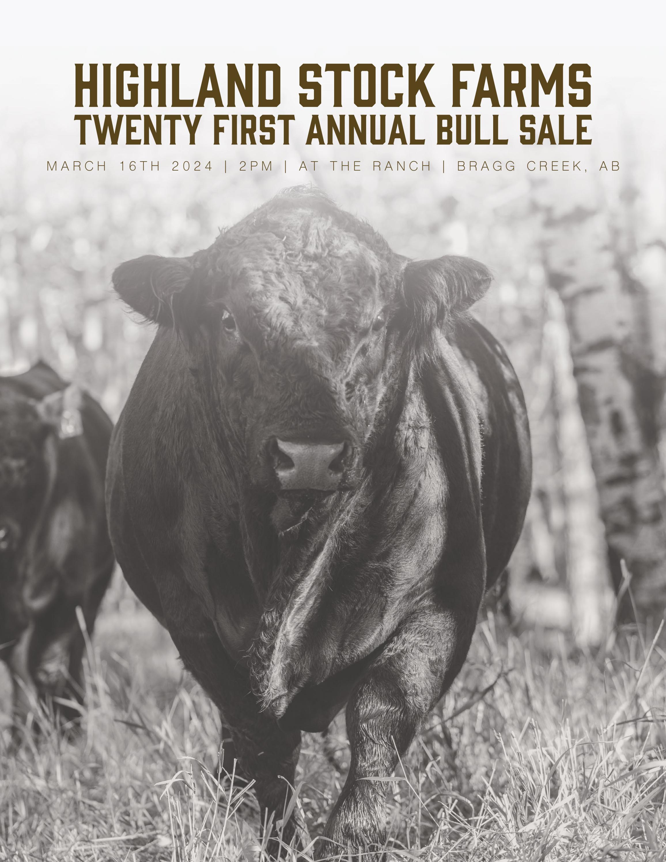 Highland Stock Farms 21st Annual Bull Sale by cmatthewsdesigns - Issuu