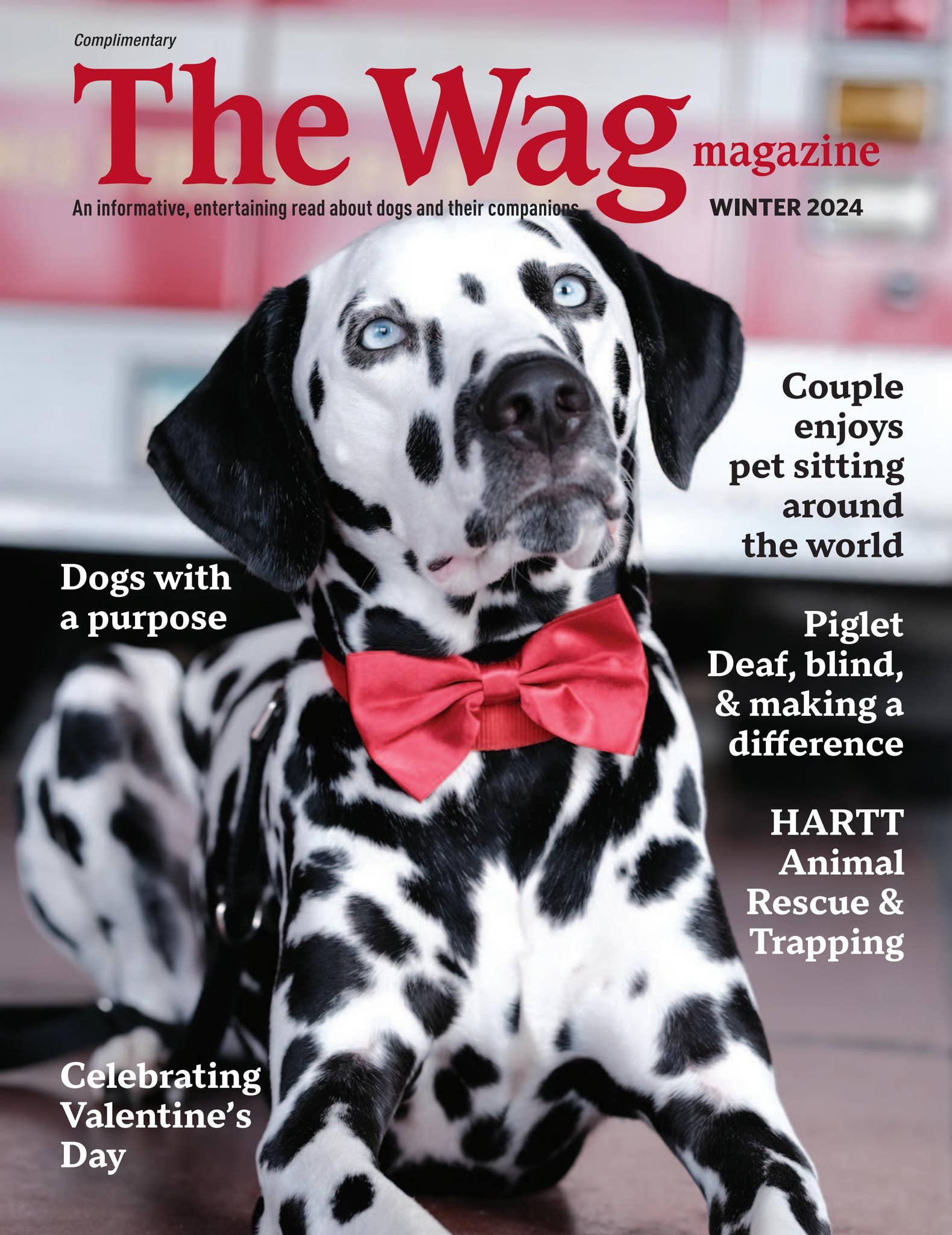 THE WAG MAGAZINE - Winter 2024 by thewagmagazine - Issuu