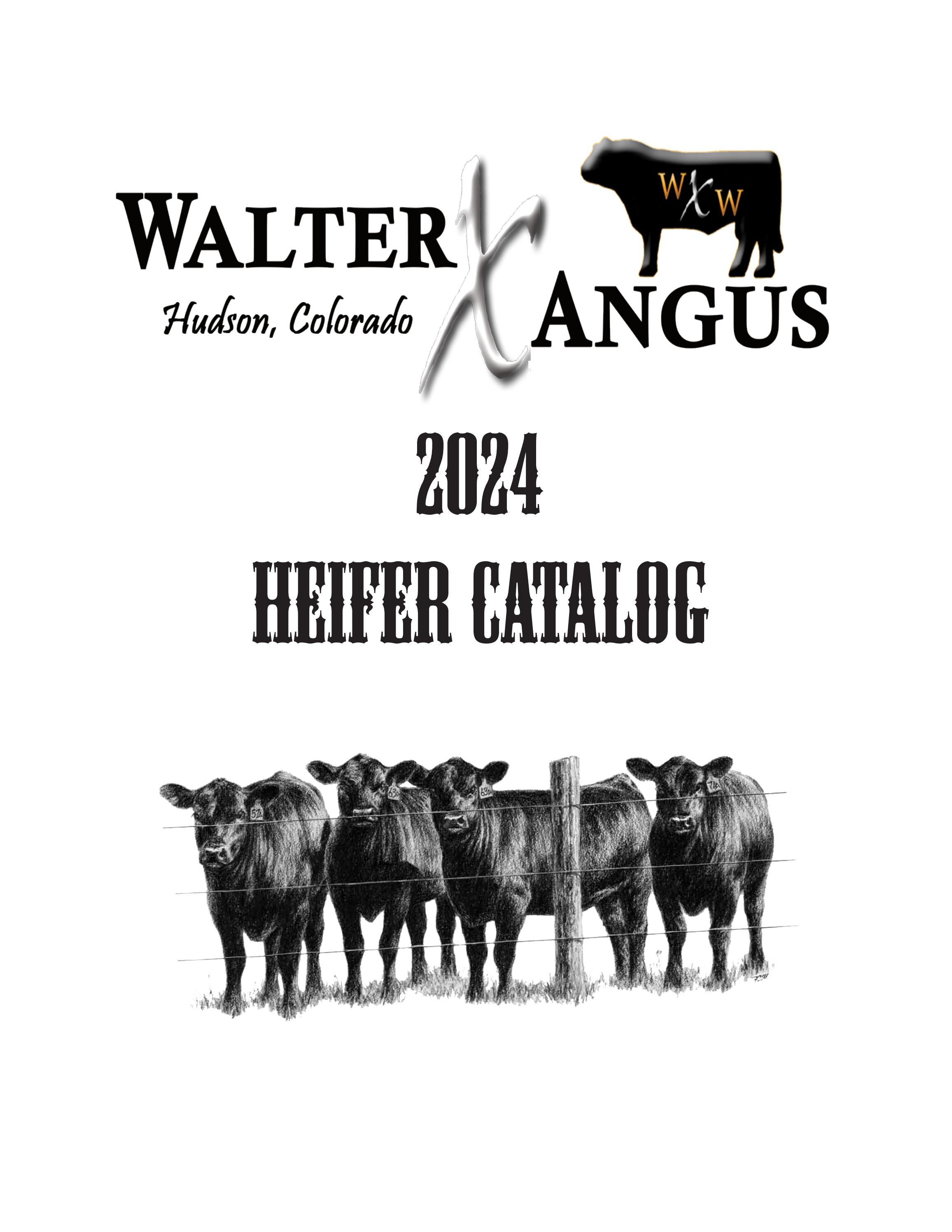 2024 Walter Angus Heifer Catalog by Walter Angus - Issuu