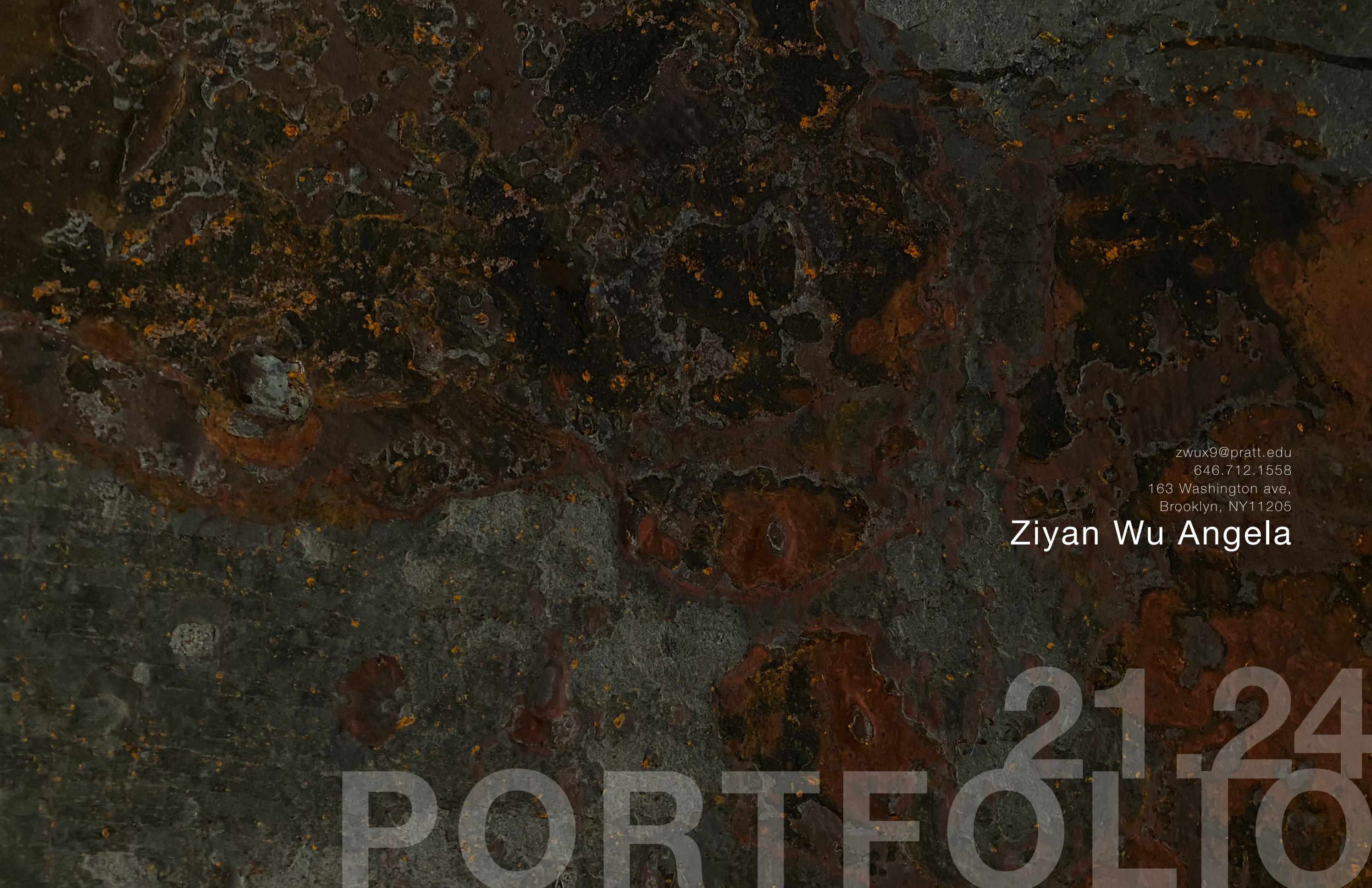 02082024_portfolio by Ziyan Wu - Issuu