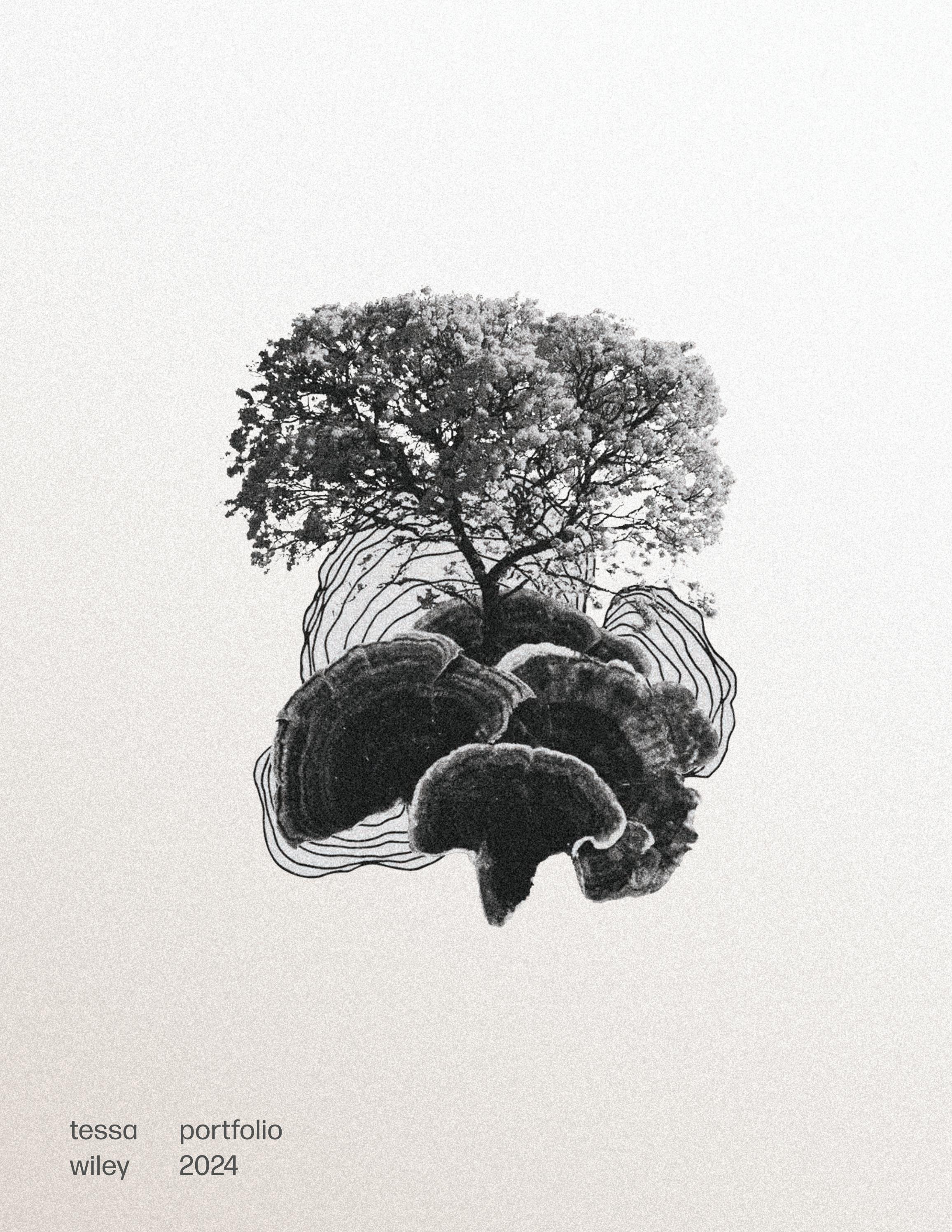 2024 MLA Portfolio by tessanwiley - Issuu