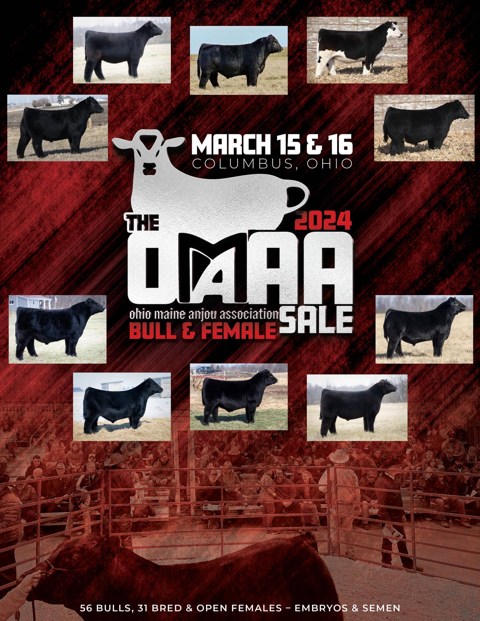 The OMAA Sale -2024 by Craig Reiter - Issuu