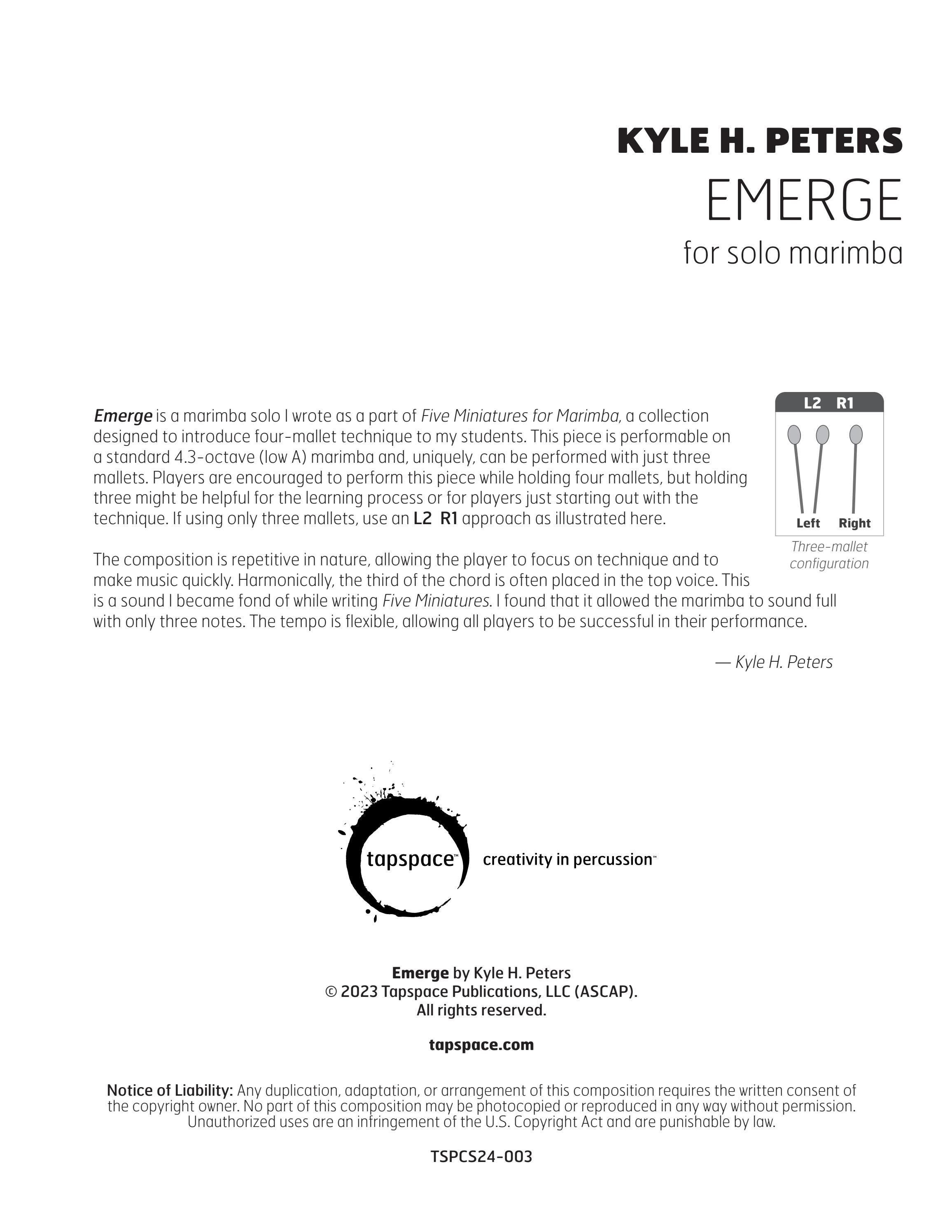 Emerge-SAMPLE by Tapspace - Issuu