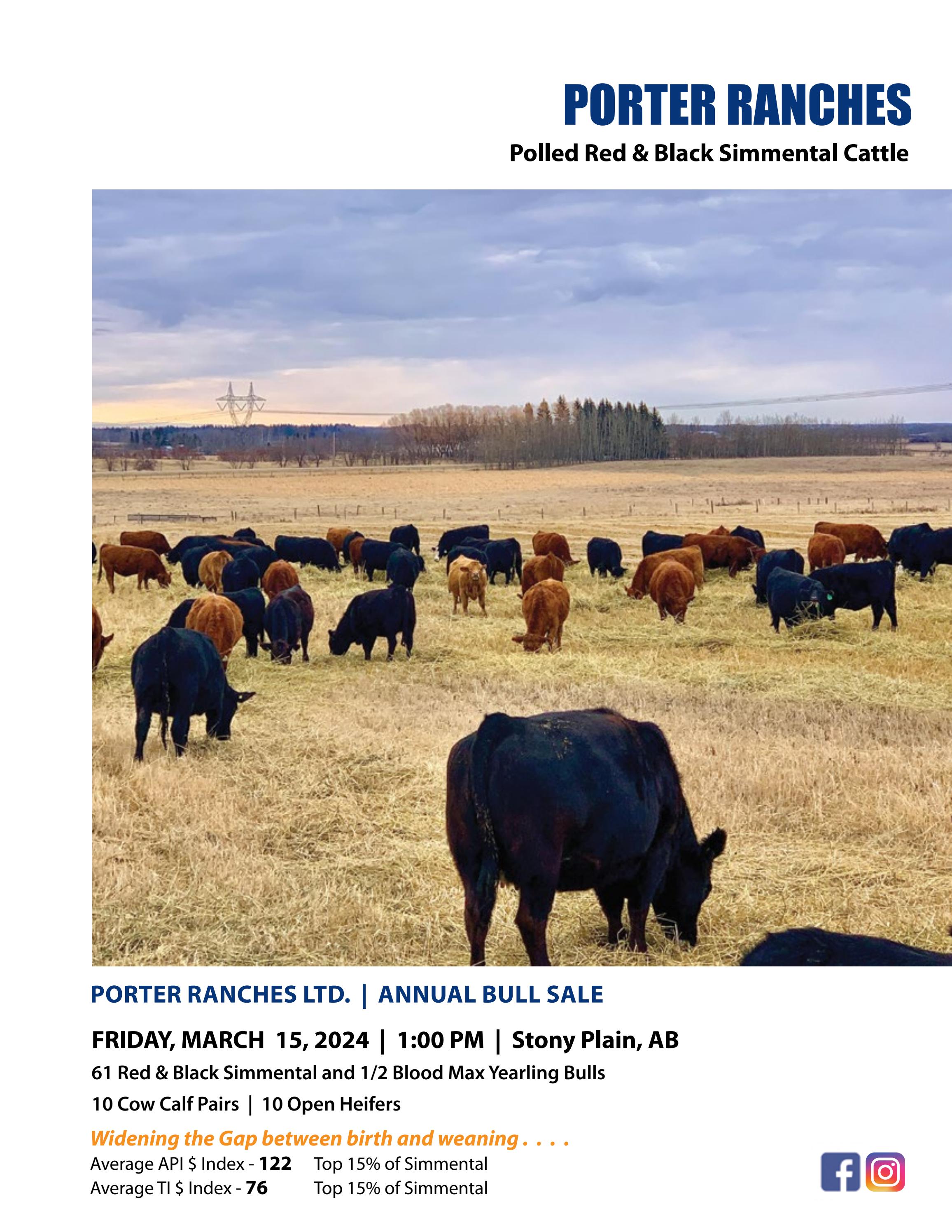 Porter Ranches Red & Black Simmental Bull Sale - Stony Plain, AB by ...