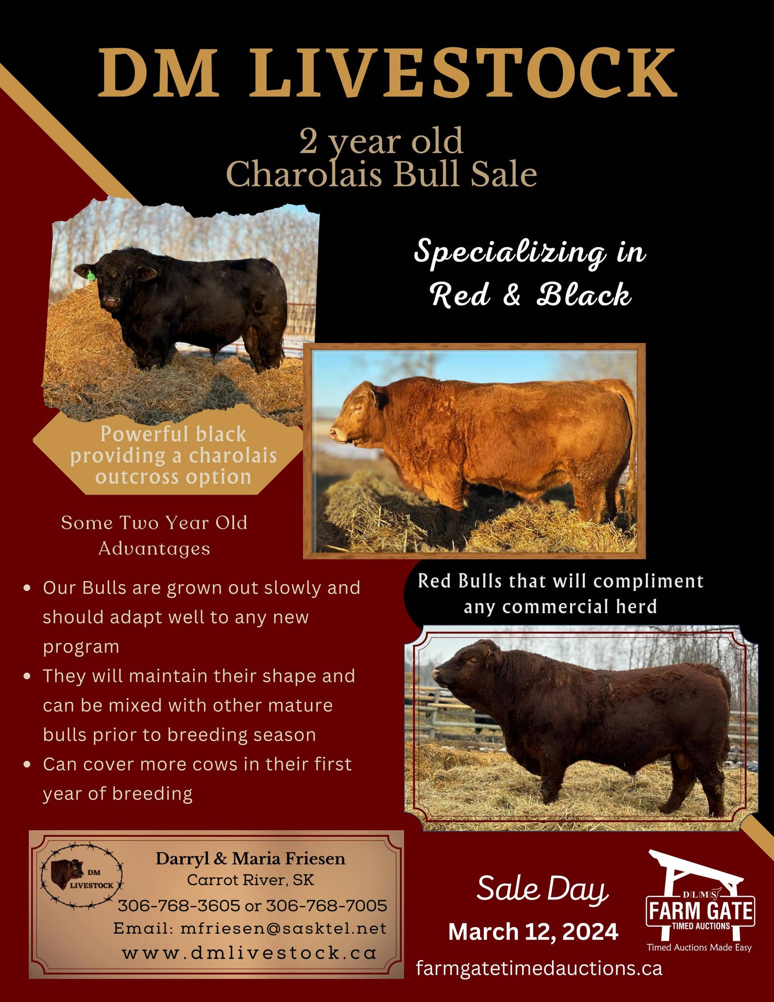 DM Livestock Charolais Two Year Old Bull Sale 2024 - DLMS Farm Gate ...