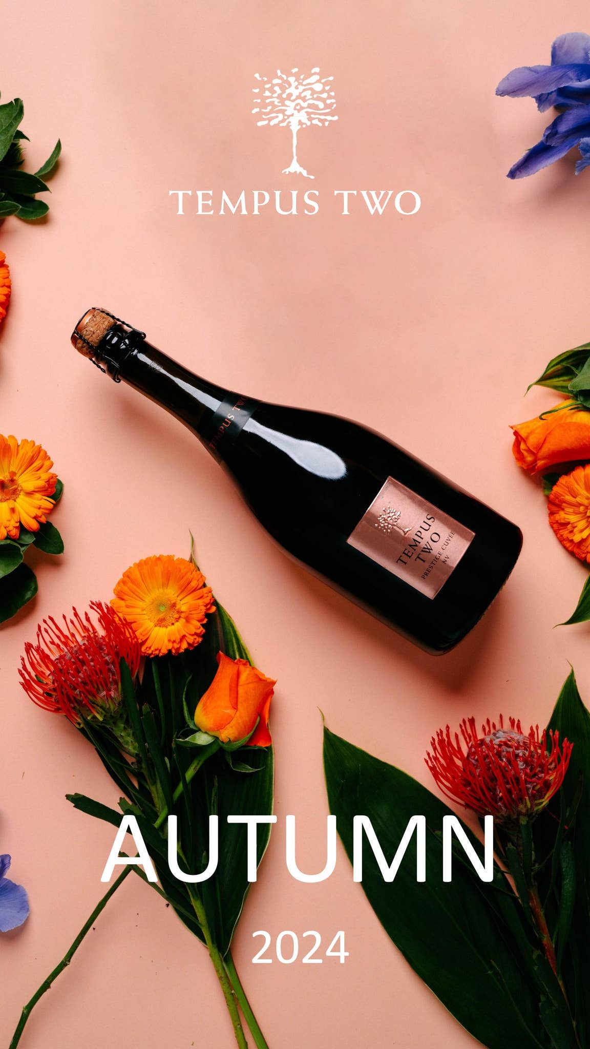 Tempus Two Autumn Packs by Billie Allgood - Issuu