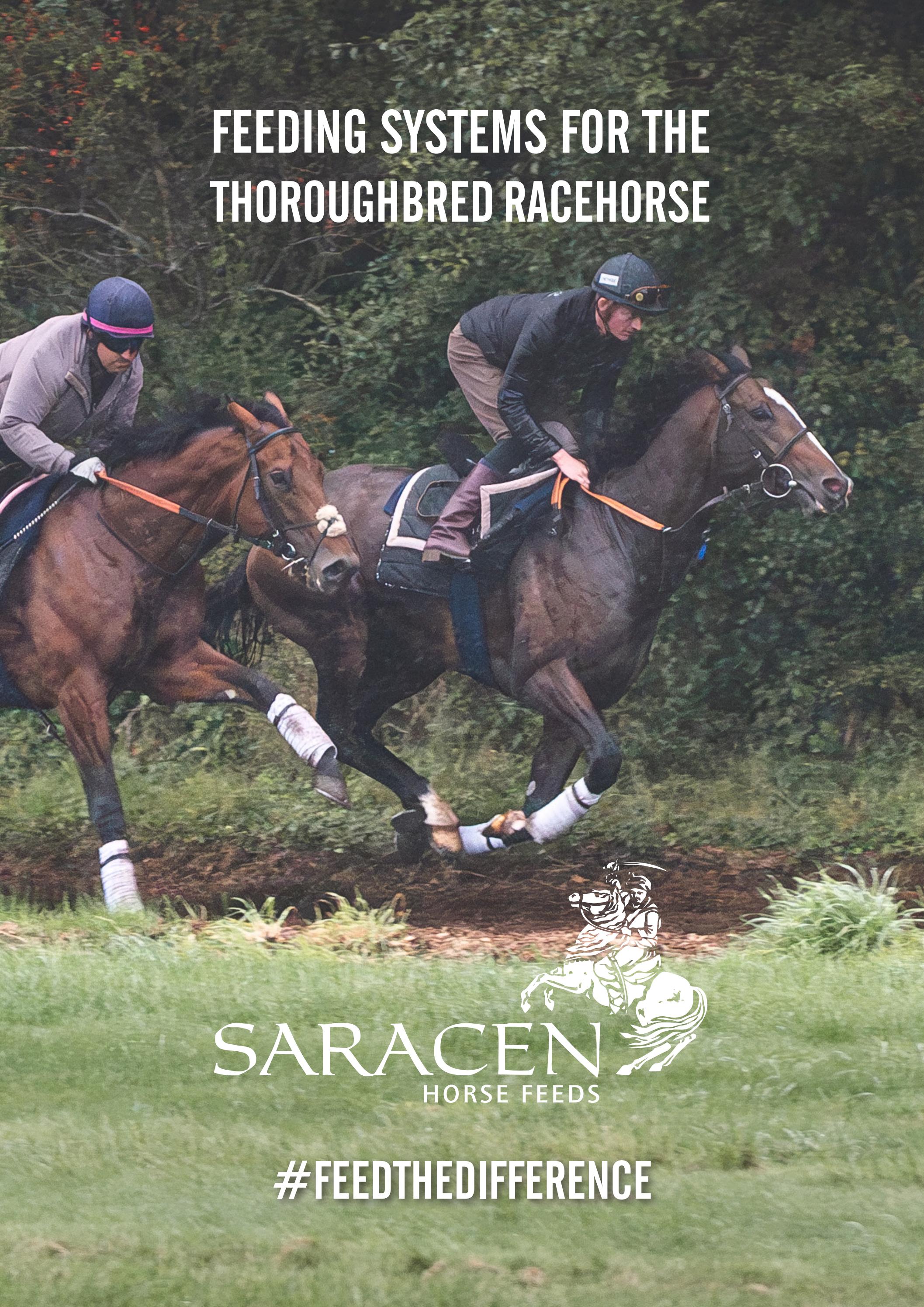 Saracen Horse Feeds - Racing Brochure by Saracen Horse Feeds - Issuu