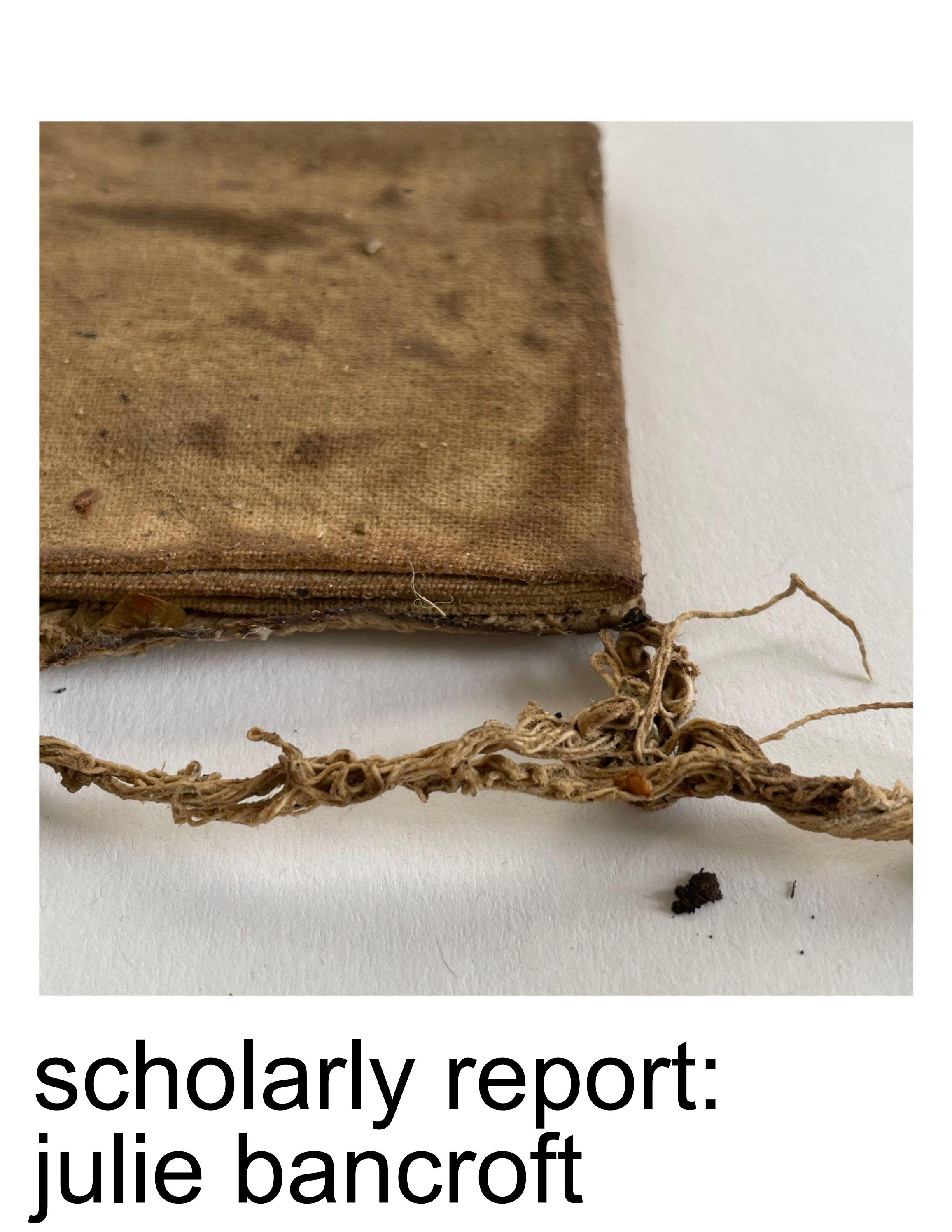 Scholarly Report Julie Bancroft by julie b - Issuu