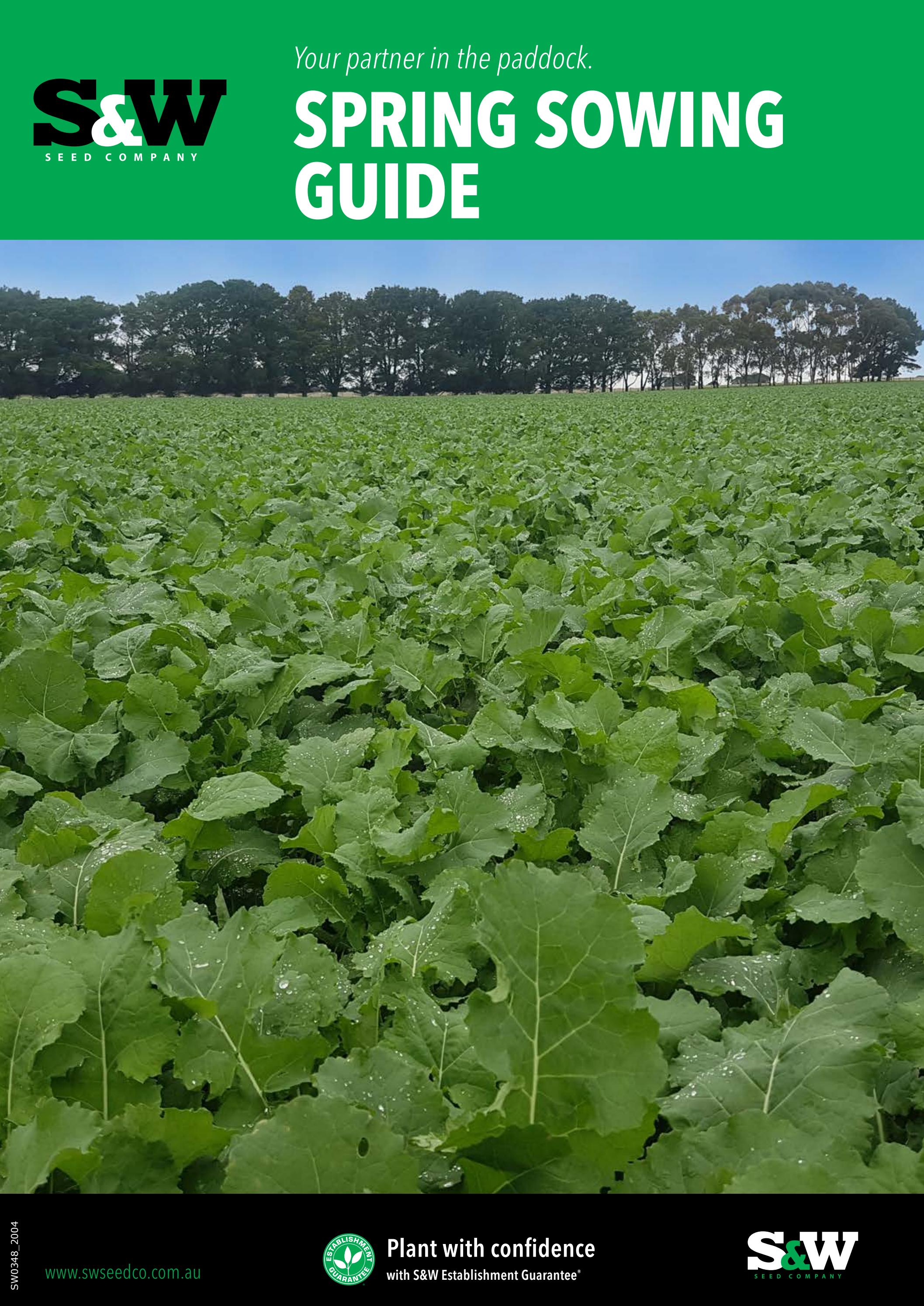 Spring Sowing Guide 2024 by swseedco - Issuu