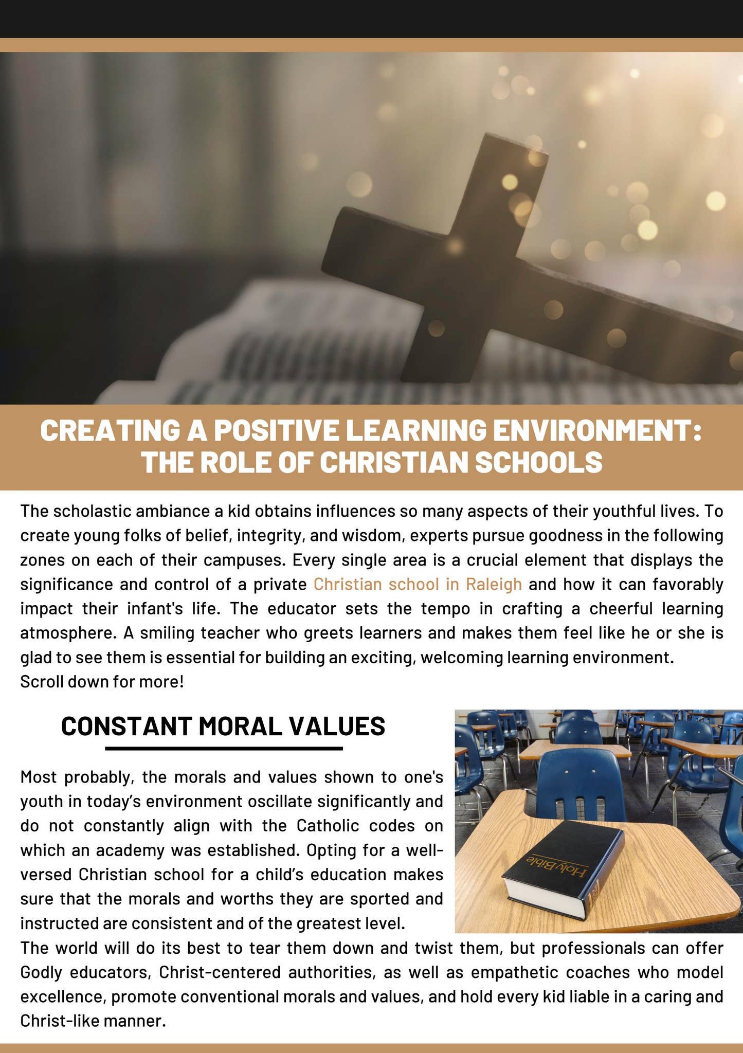 Creating a Positive Learning Environment: The Role of Christian Schools ...