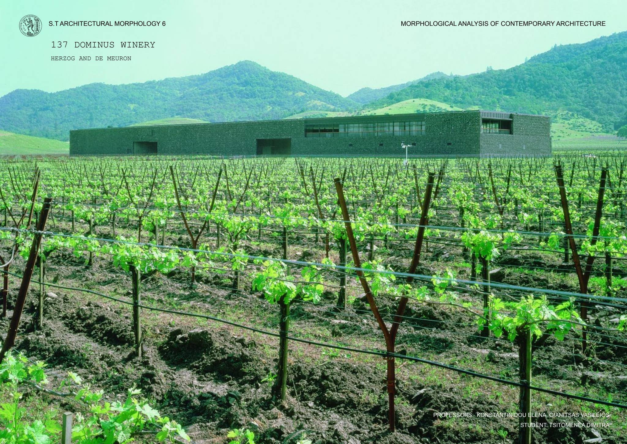 Ε.Θ ΜΟΡΦΟΛΟΓΙΑΣ 6 by Dimitra Tsitomenea - Issuu