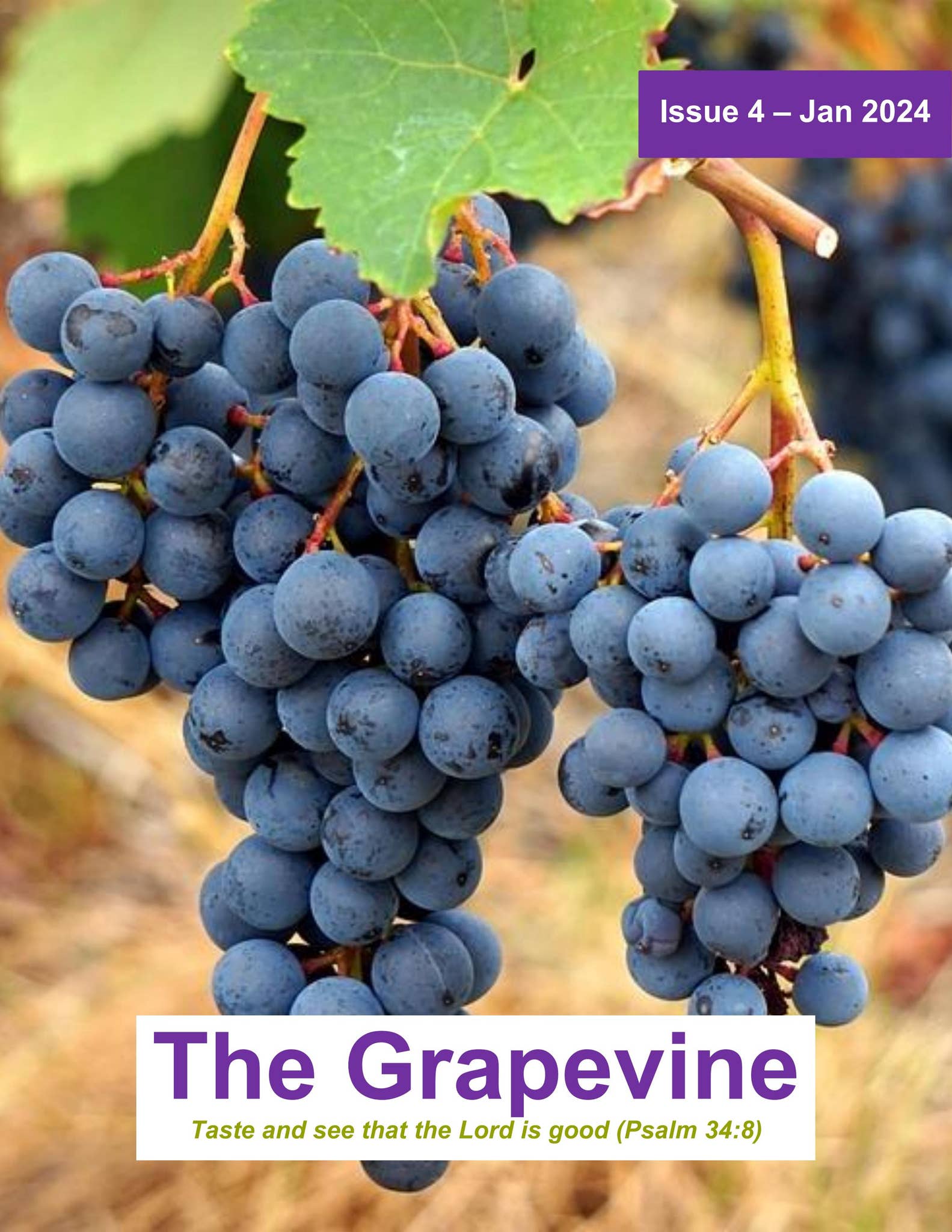 The Grapevine: Issue 4 - Jan 2024 by Philgrapevine - Issuu