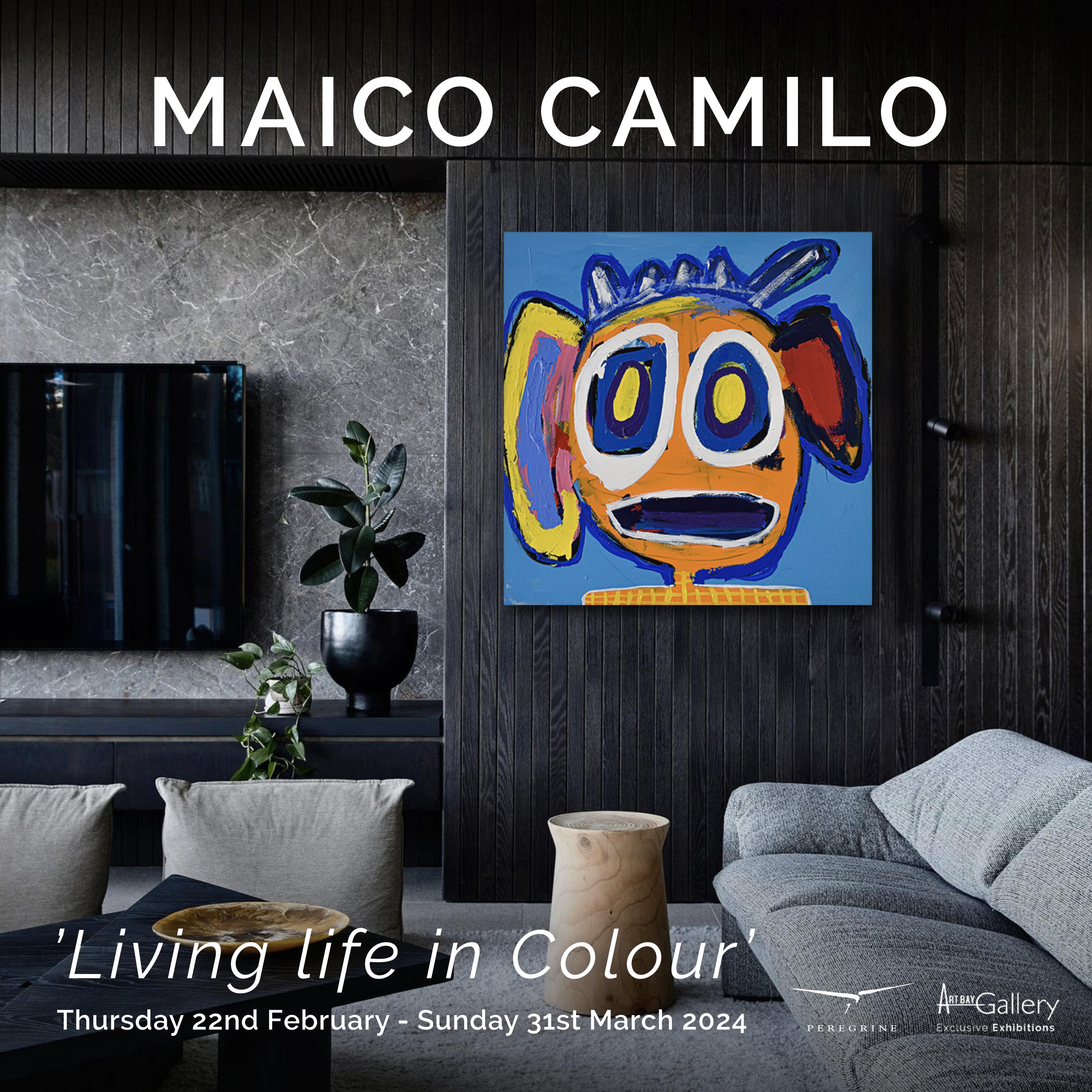 Maico Camilo - 'Living life in Colour' Digital Catalogue by ...