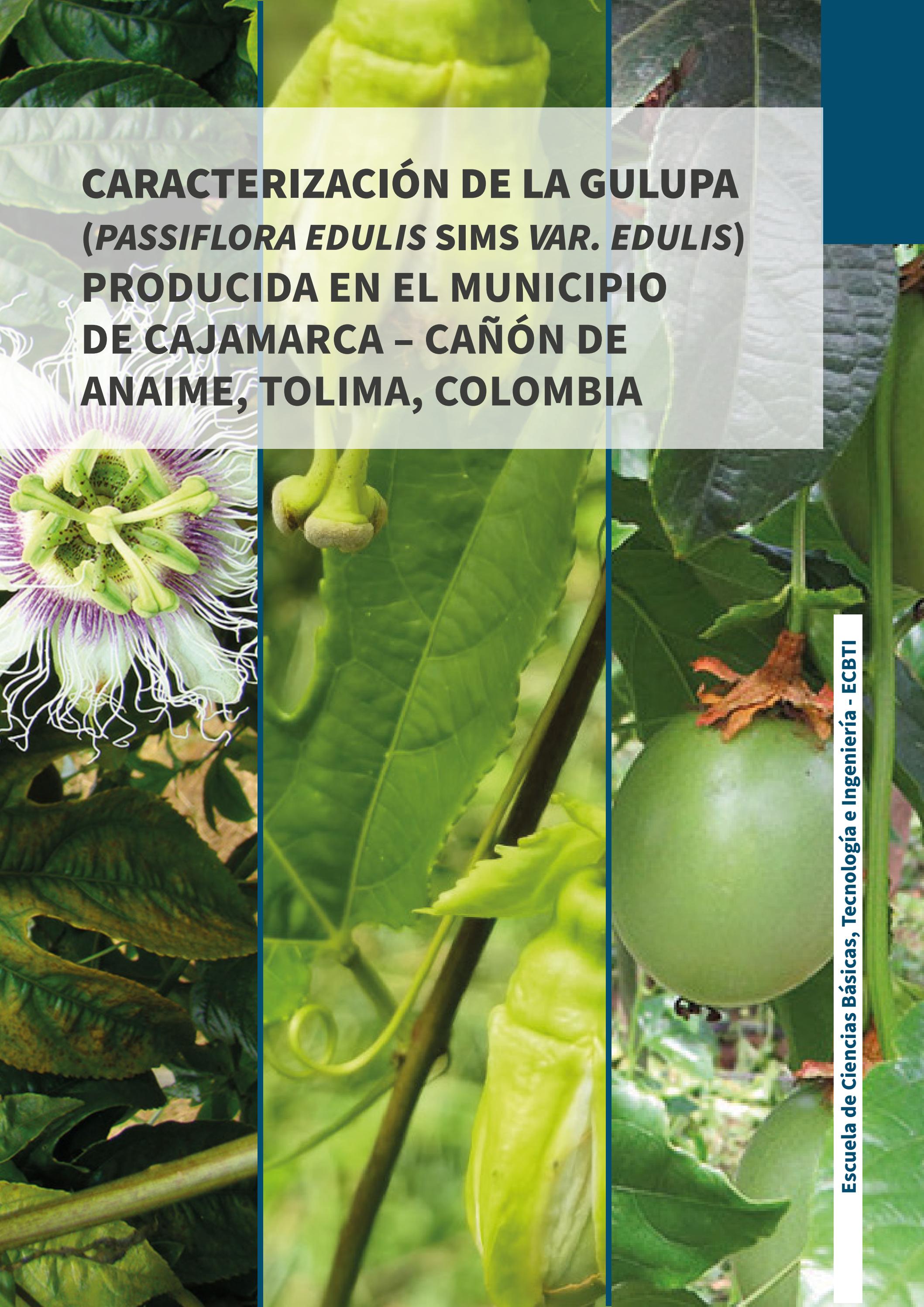 Caracterización de la gulupa (Passiflora edulis Sims var. Edulis) by ...