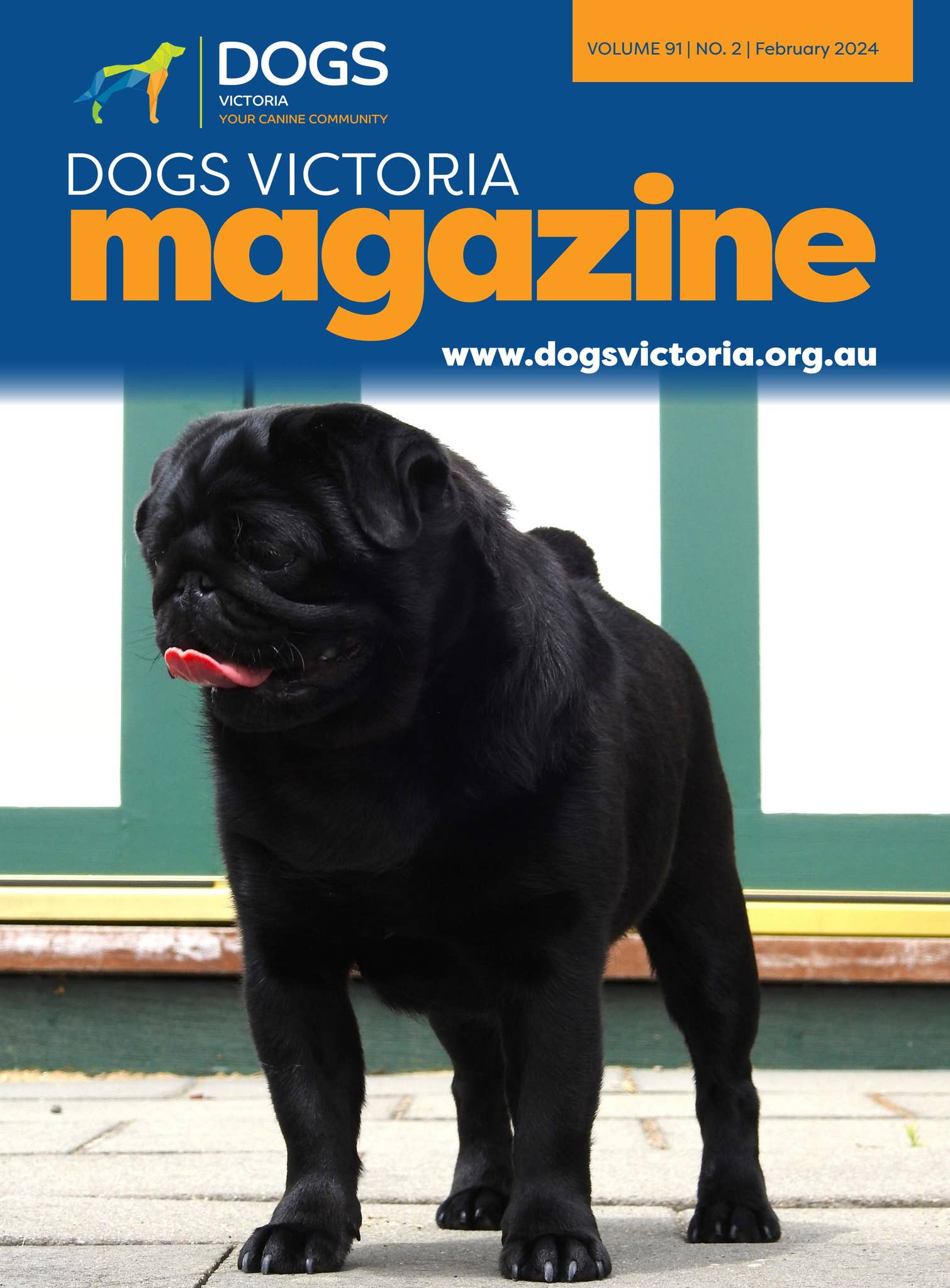 DIGITAL DV MAGAZINE AND GAZETTE FEBRUARY 2024 by Dogs Victoria - Issuu