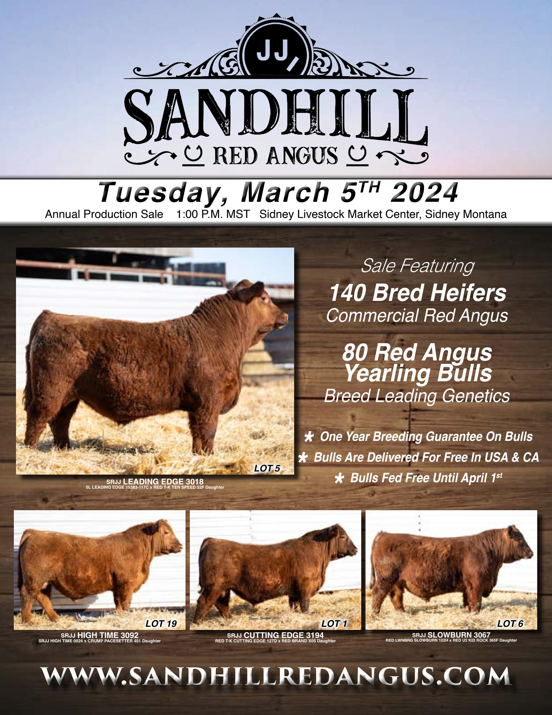 Sandhills Red Angus Bull Sale by Castlerock Marketing - Issuu