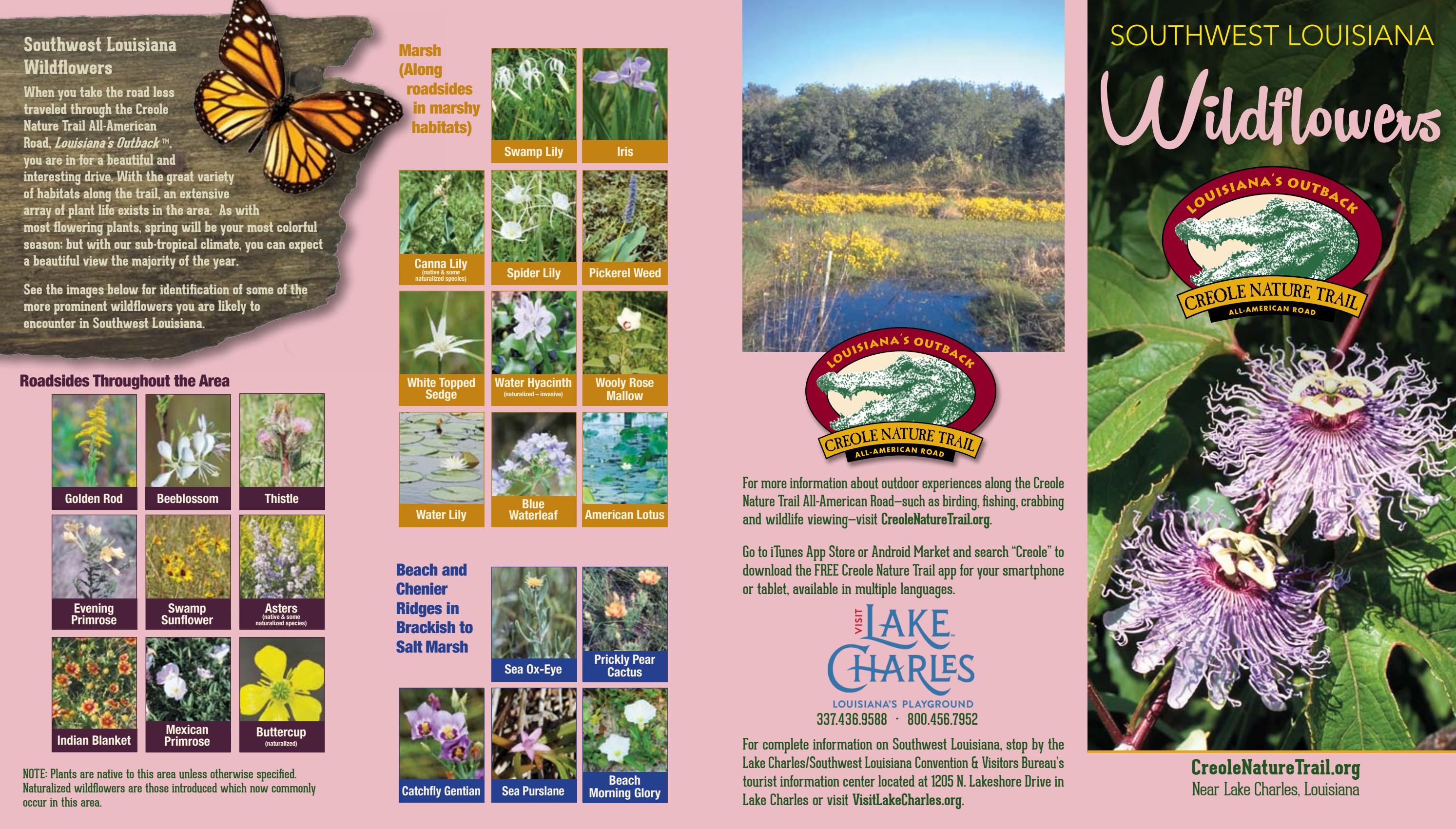 Southwest Louisiana Wildflowers by Visit Lake Charles - Issuu