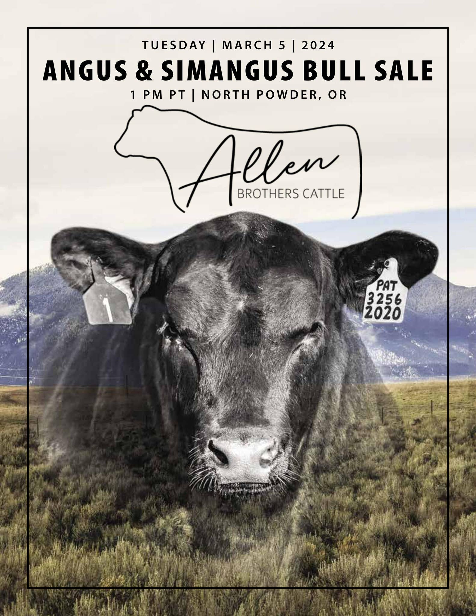 Allen Brothers Cattle Annual Bull Sale - 2024 by Generation 6 Marketing ...