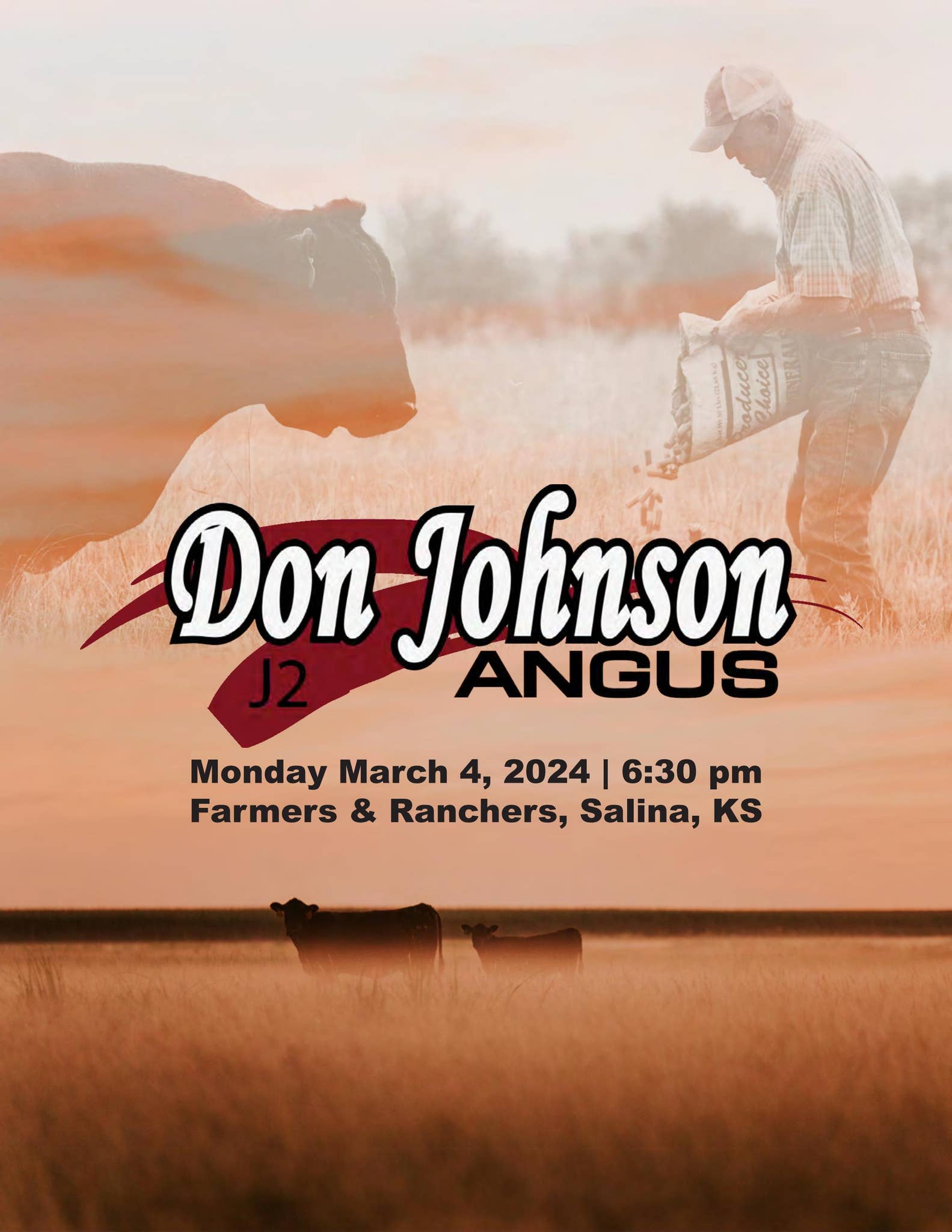 Don Johnson Angus 28th Annual Bull Sale by LivestockDirect - Issuu