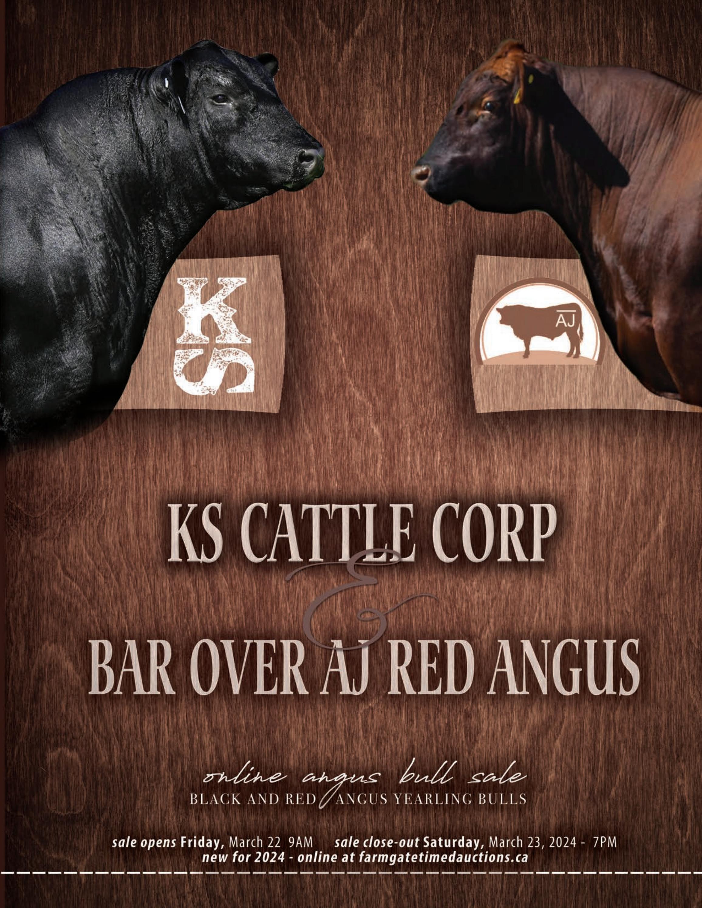 KS Cattle Corp & Bar Over AJ Red Angus Online Bull Sale by ...
