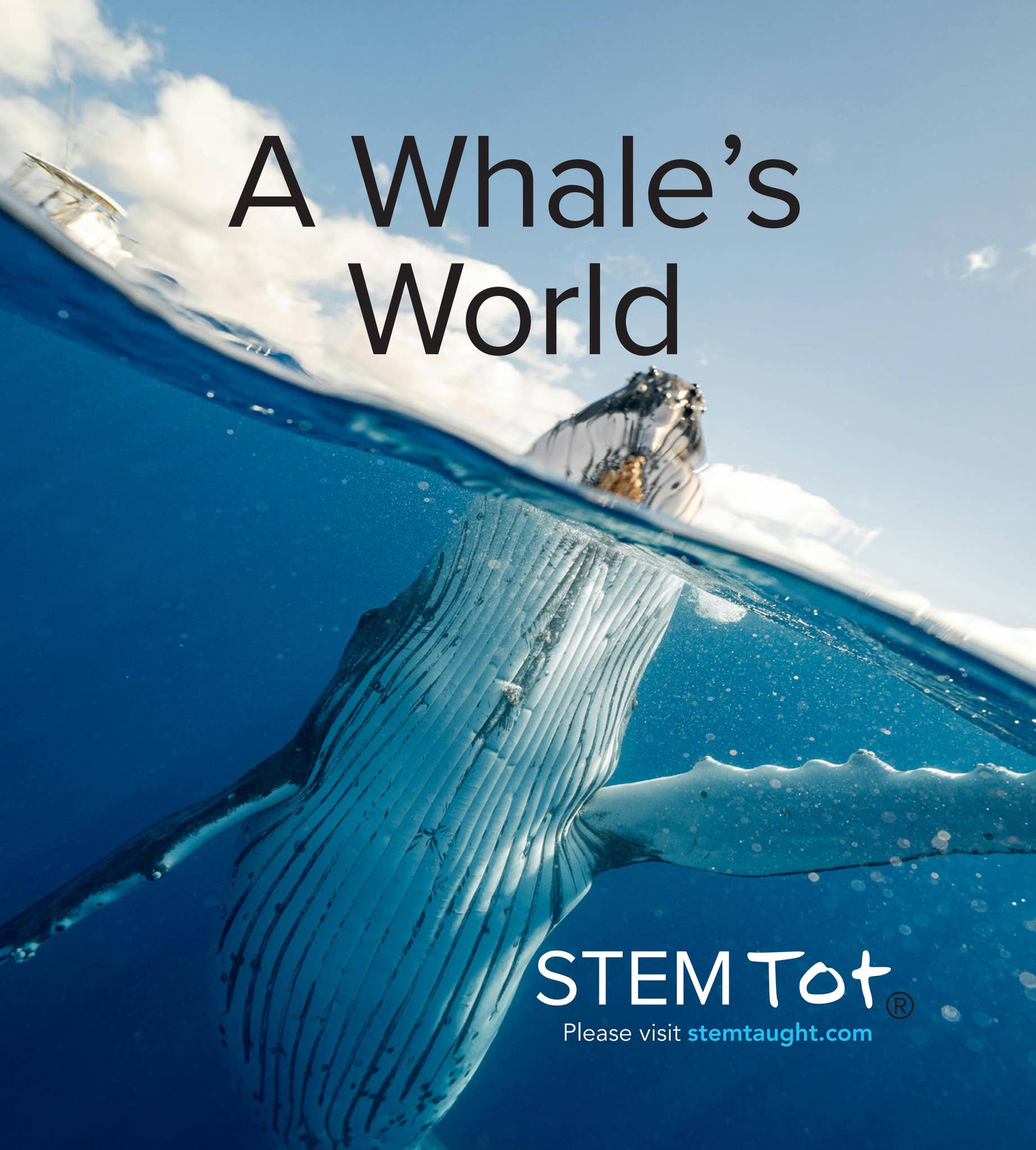A Whale's World-TK tiny book by STEMTaught - Issuu