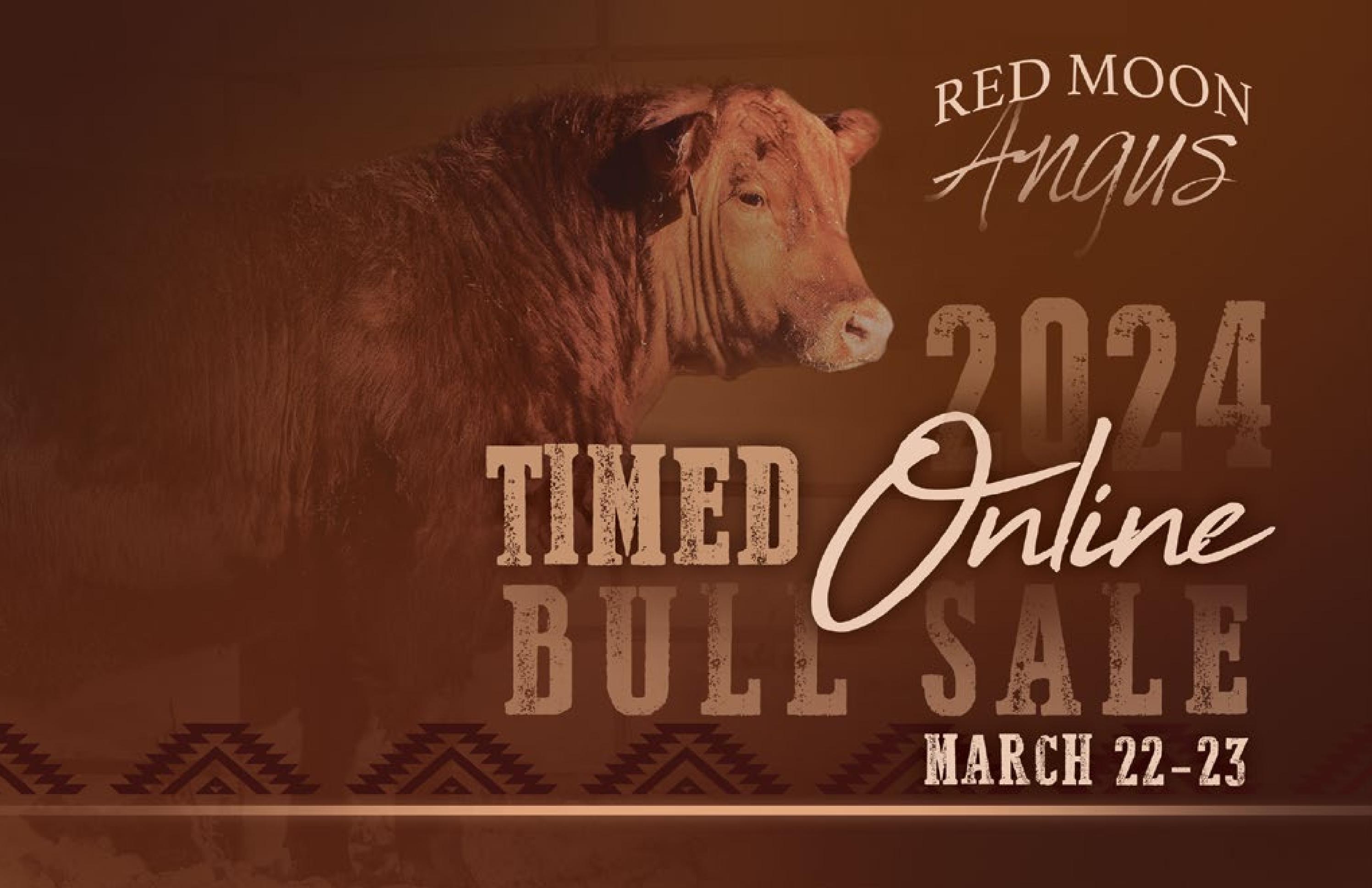 Red Moon Angus Timed Online Bull Sale 2024 by jamieraepittman - Issuu
